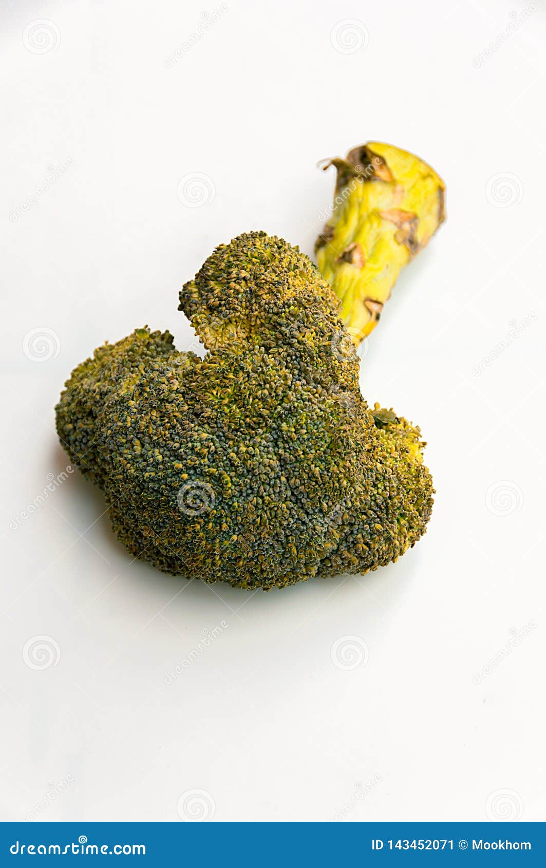 One Isolated Rotten Lemon Against A Black Background Royalty-Free Stock ...