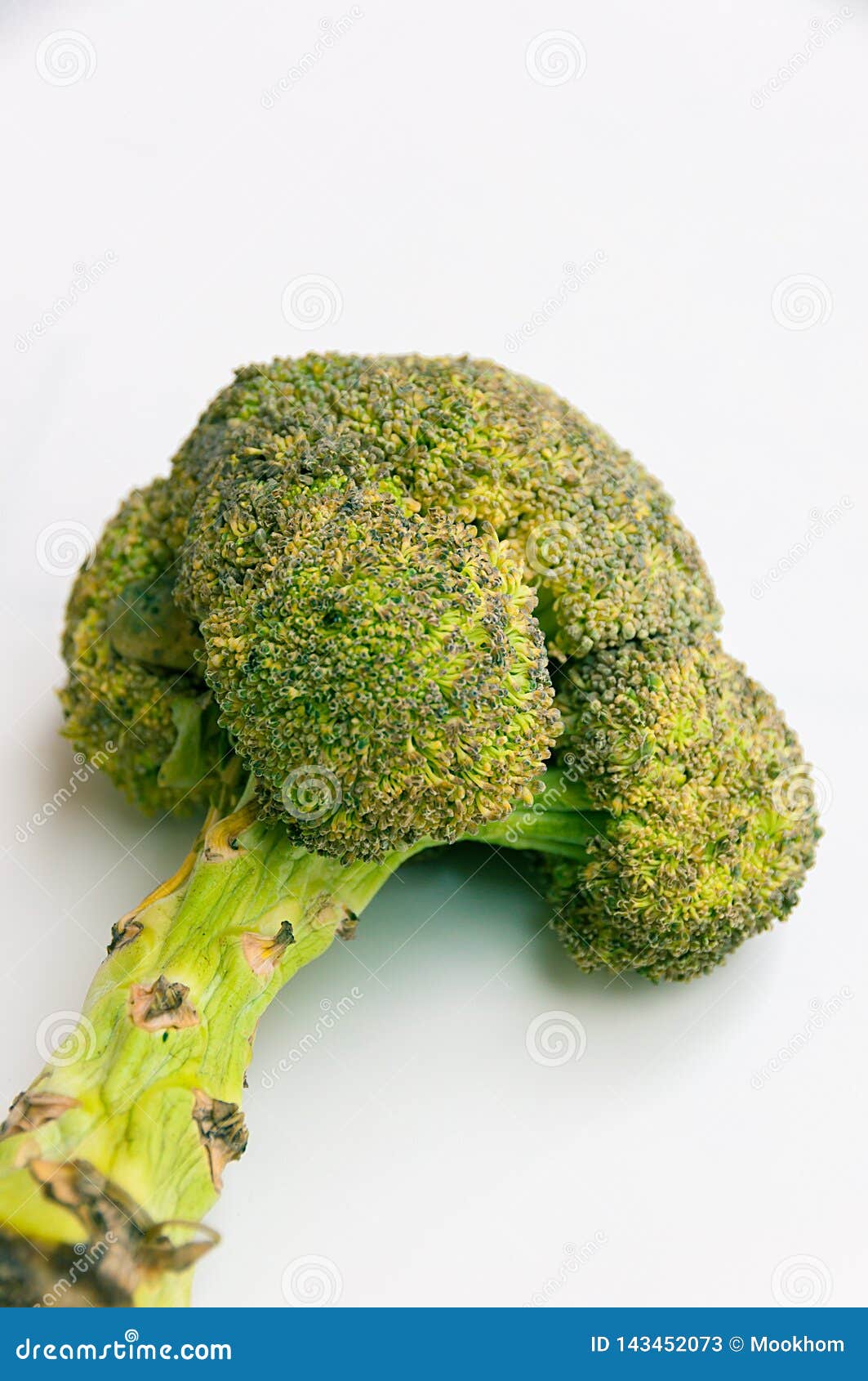 Isolated Rotten Broccoli on White Background Stock Image - Image of ...