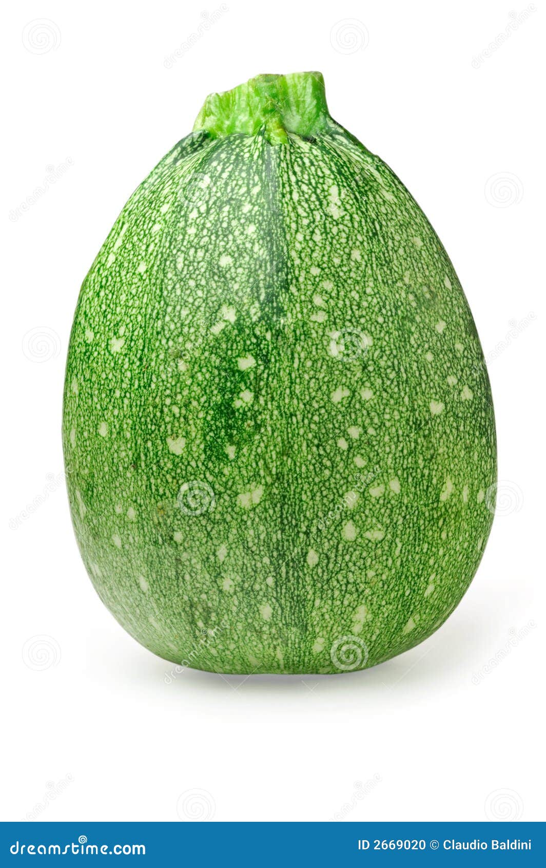 Isolated round zucchini stock photo. Image of snack, isolated - 2669020