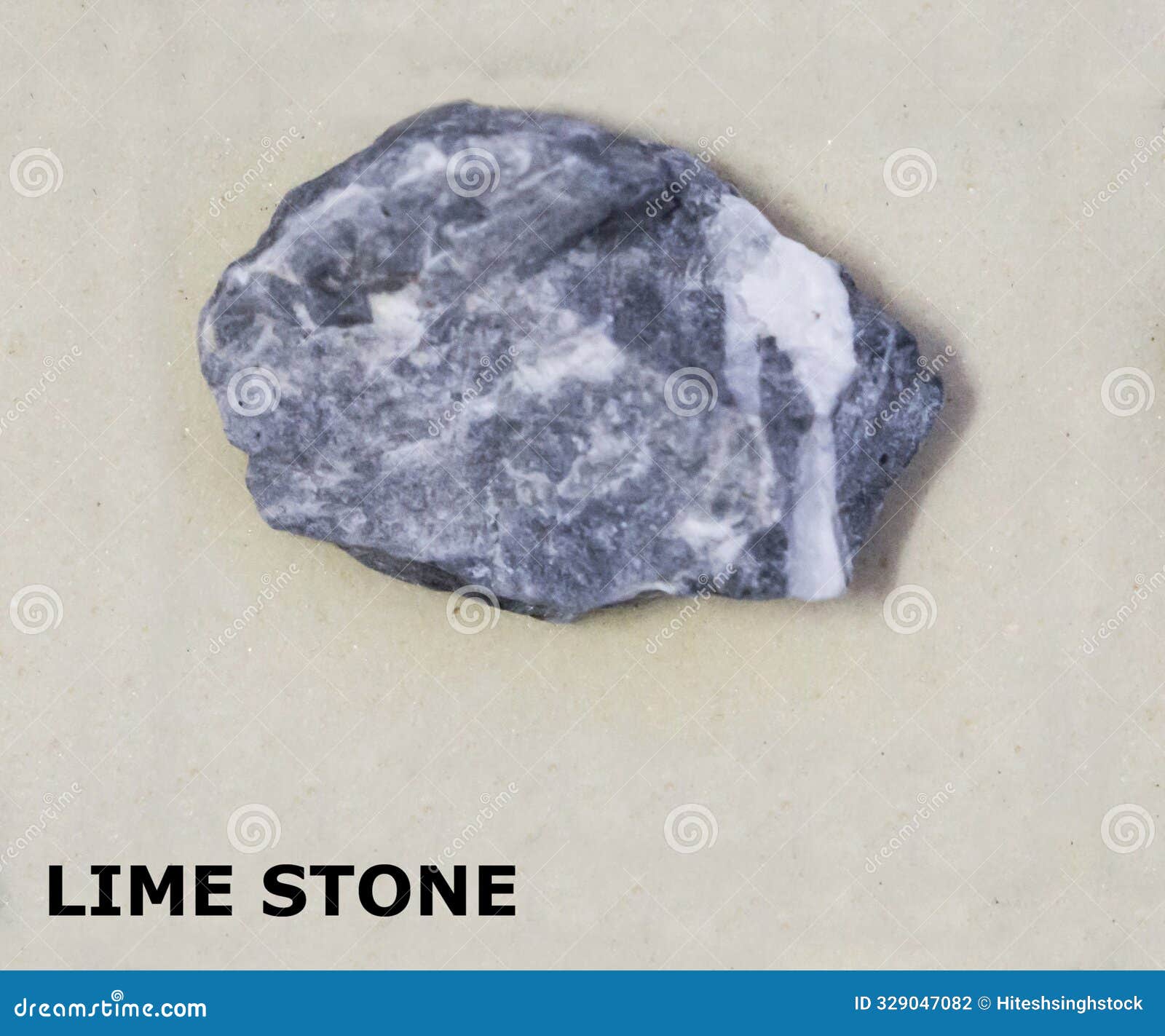 Isolated Sample of a Lime Stone Rock on Texture Background. Lime Stone ...