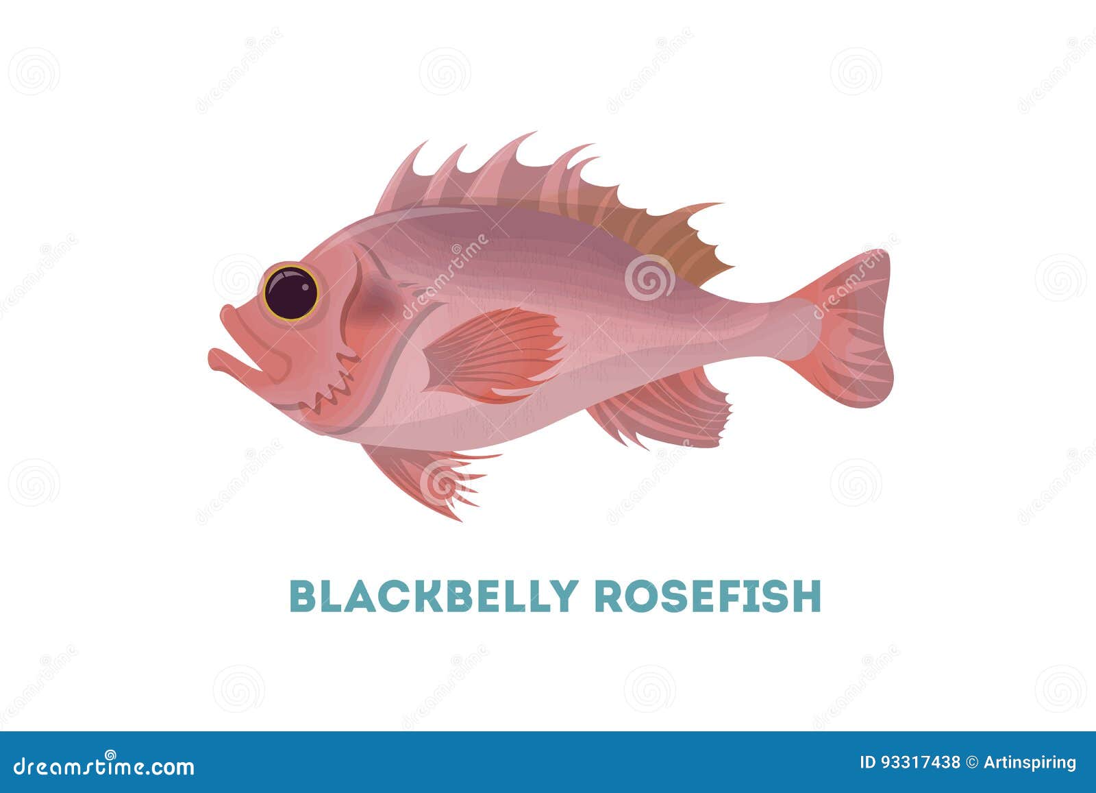 Sebastes (rockfish) Cartoon Vector | CartoonDealer.com #63416813