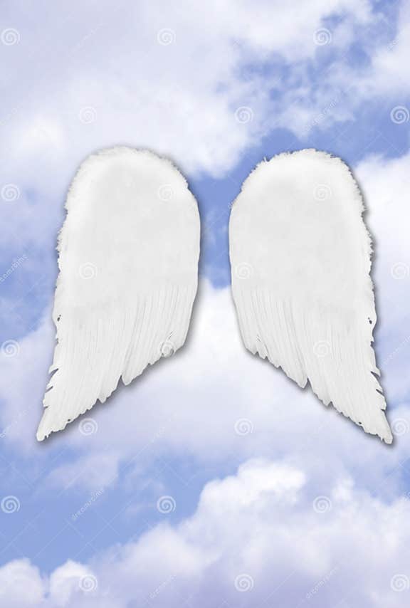 Isolated Separated Angel Wings Stock Photo - Image of angel, religion ...