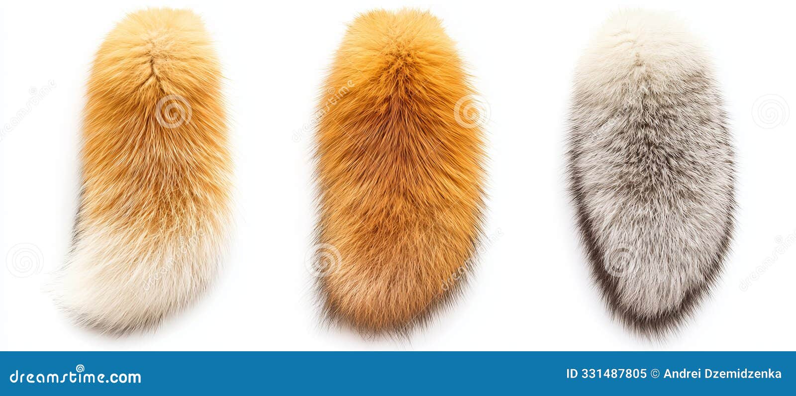 An Isolated Set of Fox Tails on a Transparent Background Stock Image ...