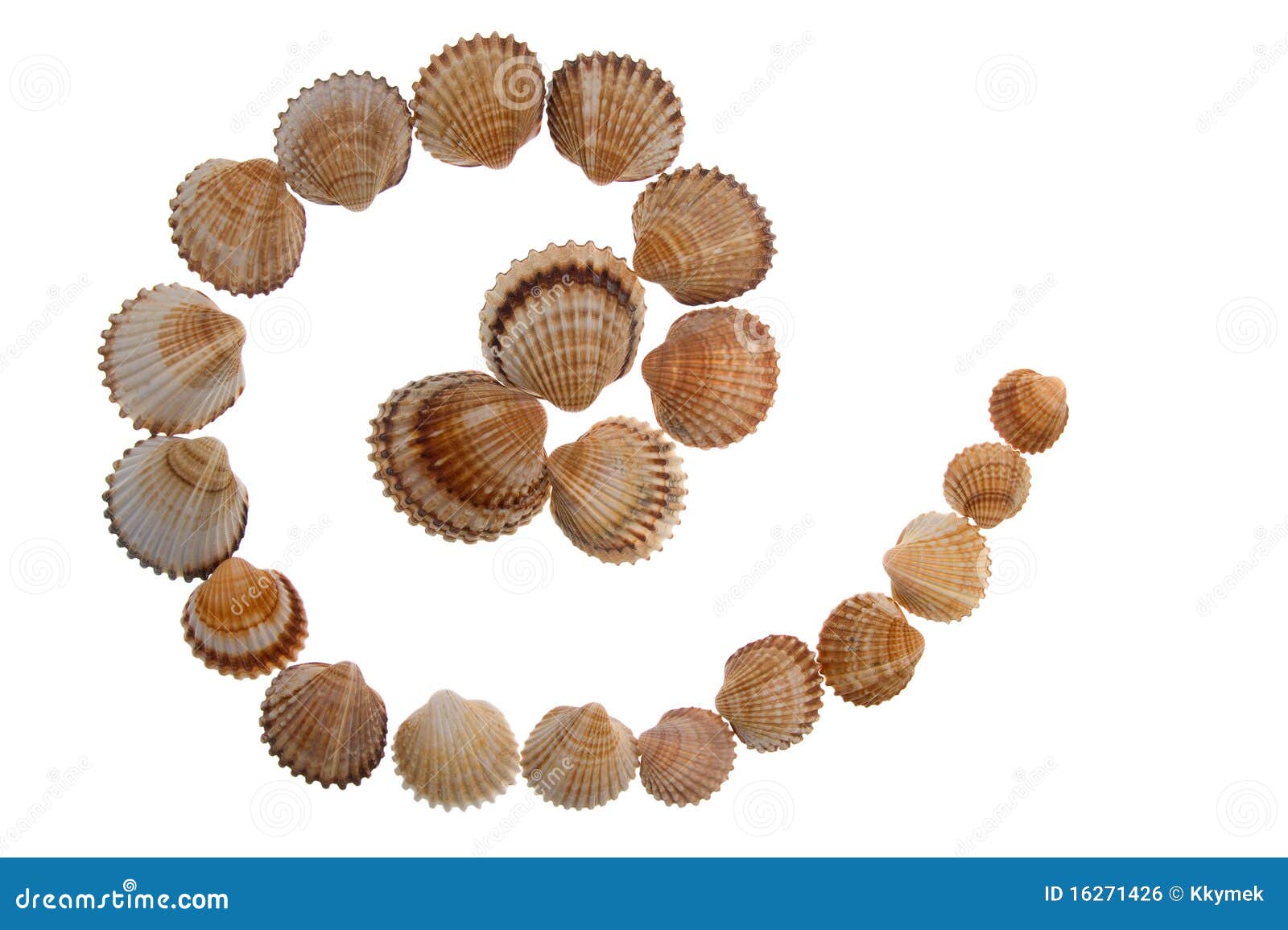 Isolated shell letter @ stock photo. Image of alphabetic - 16271426
