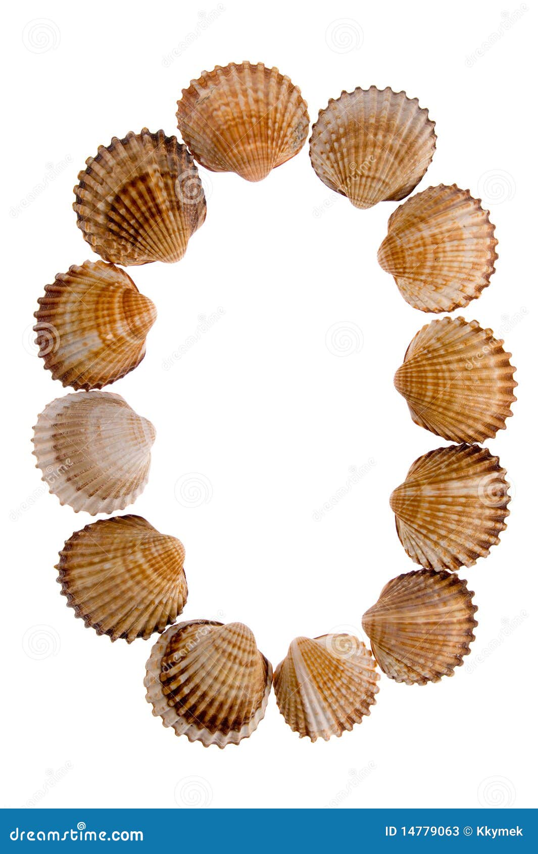 Isolated shell letter O stock image. Image of mark, font - 14779063