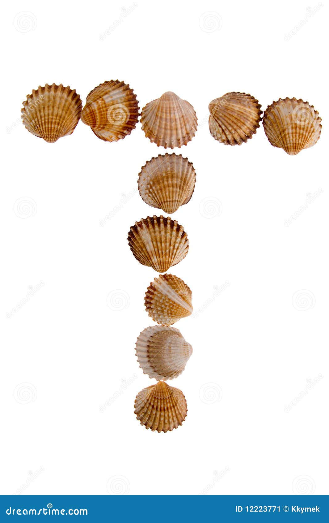 Shell Letter M Royalty-Free Stock Photography | CartoonDealer.com #4235081