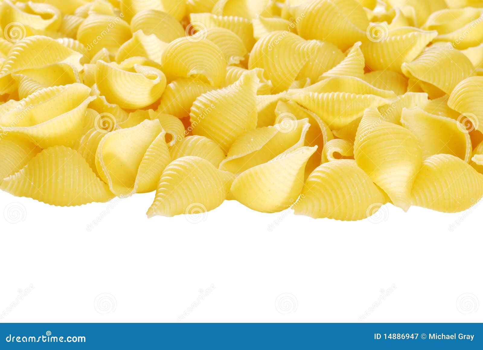 Isolated shell pasta stock image. Image of lifestyle - 14886947