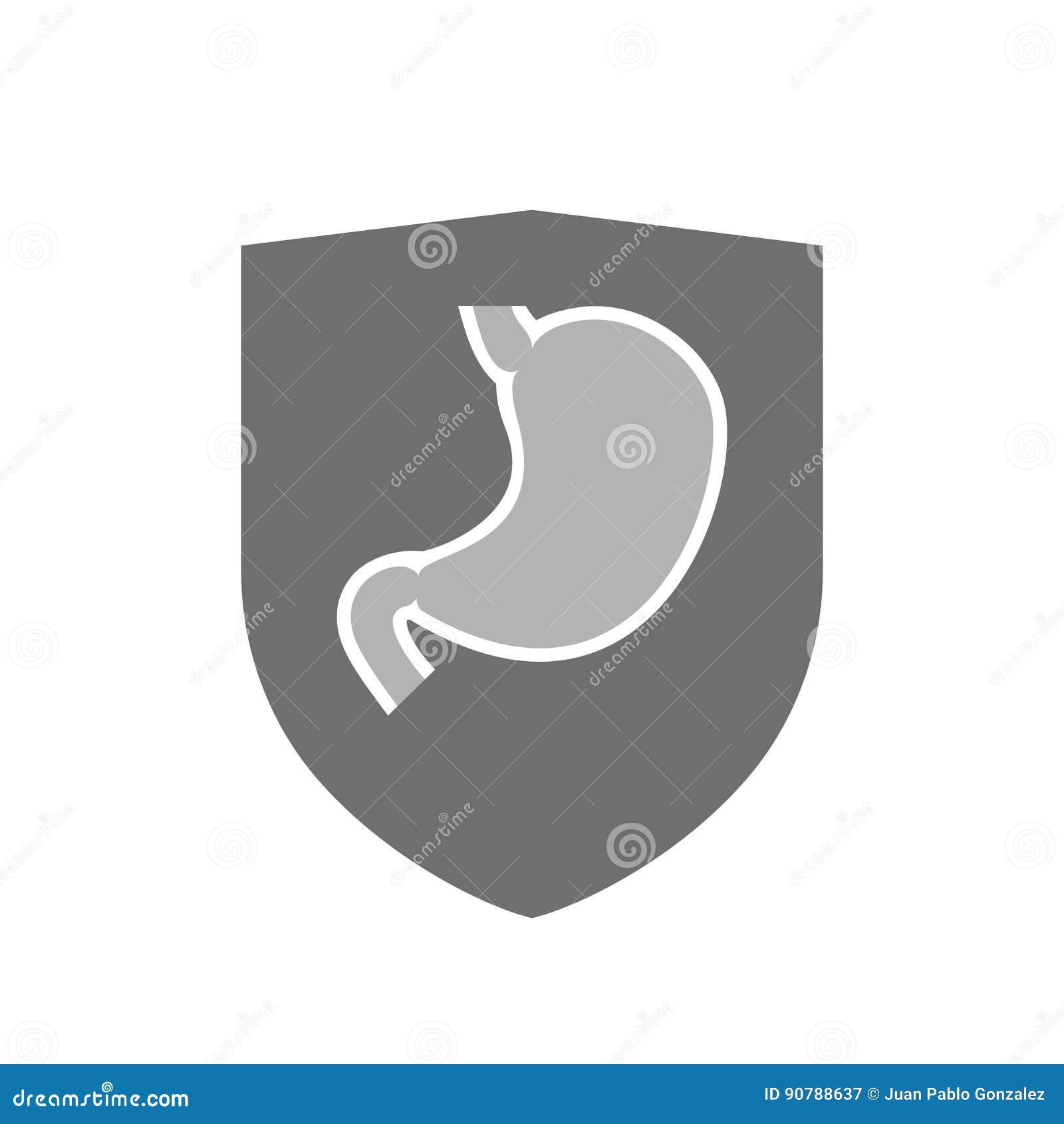 Isolated Shield with a Healthy Human Stomach Icon Stock Illustration ...