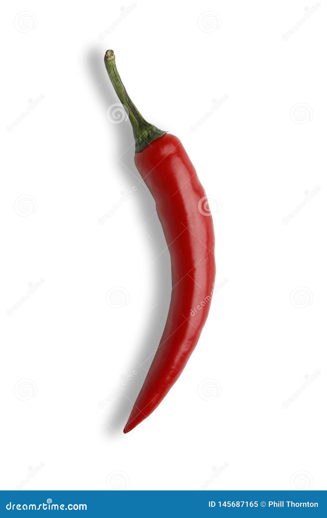 Isolated Shot of a Single Red Chilli Stock Image - Image of chili ...