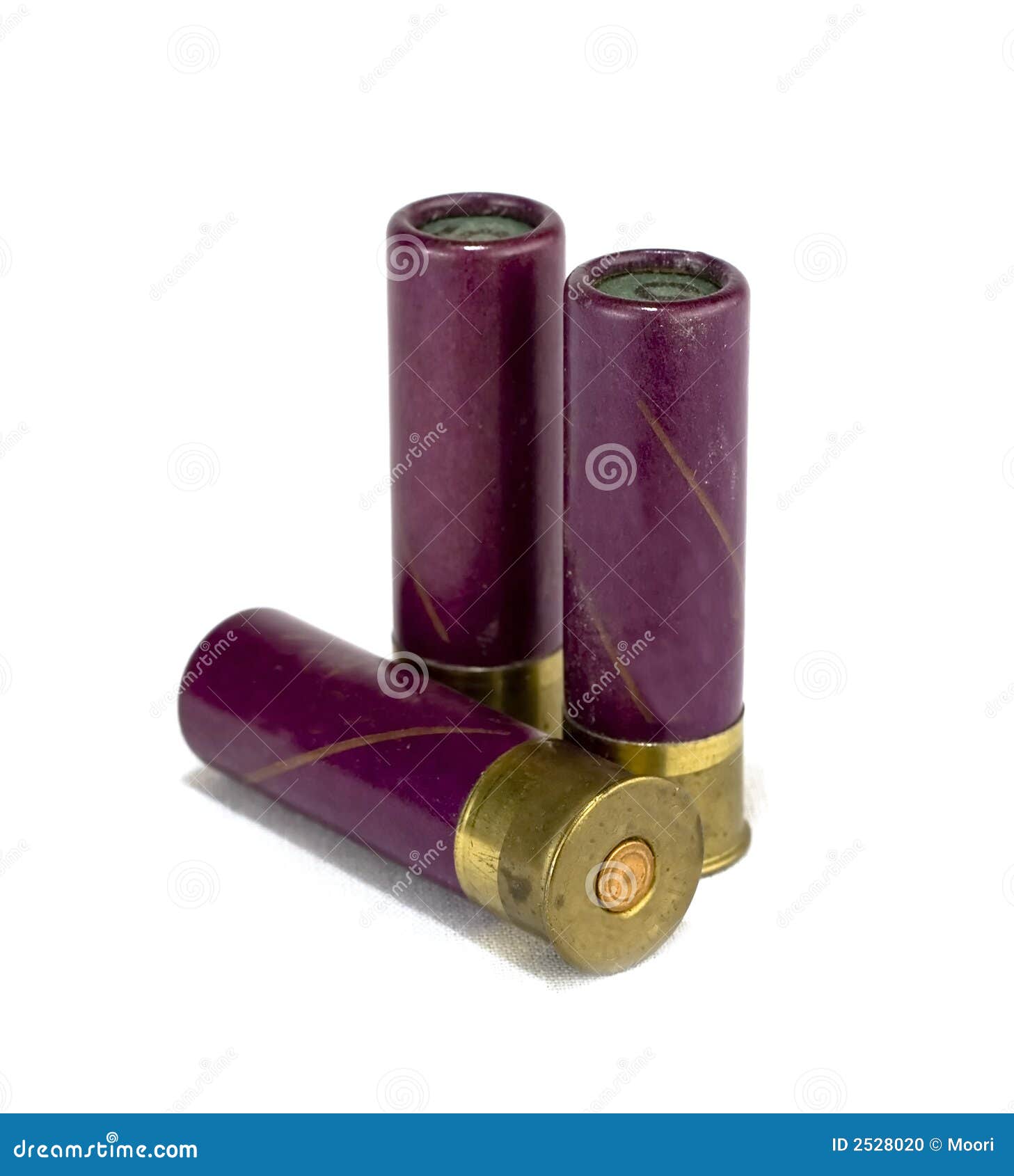 Isolated shotgun shells stock photo. Image of millimeter - 2528020