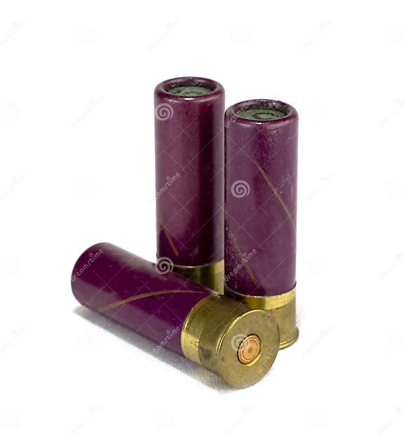 Isolated shotgun shells stock photo. Image of millimeter - 2528020
