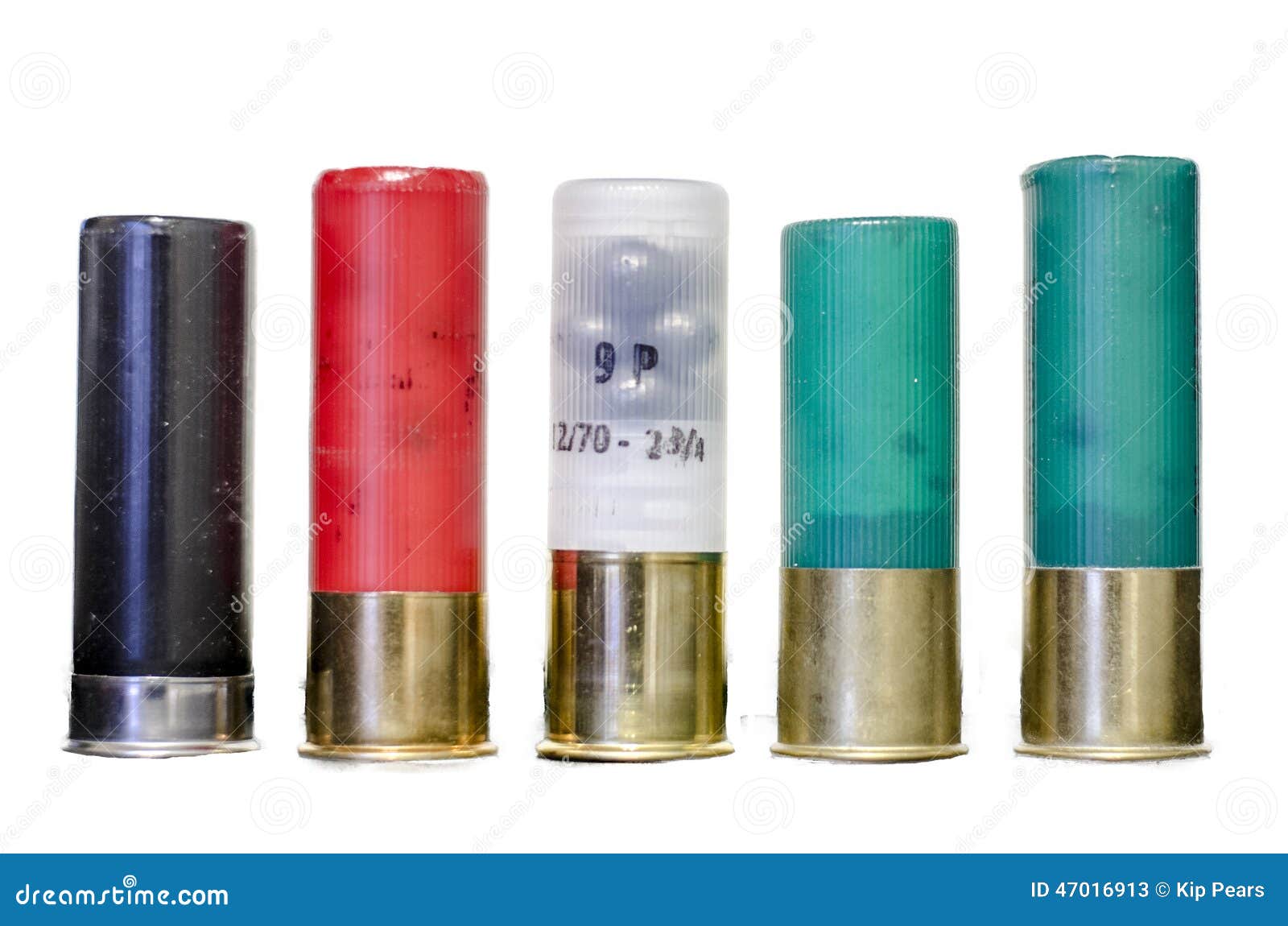 Isolated shotgun shells stock image. Image of bullets - 47016913