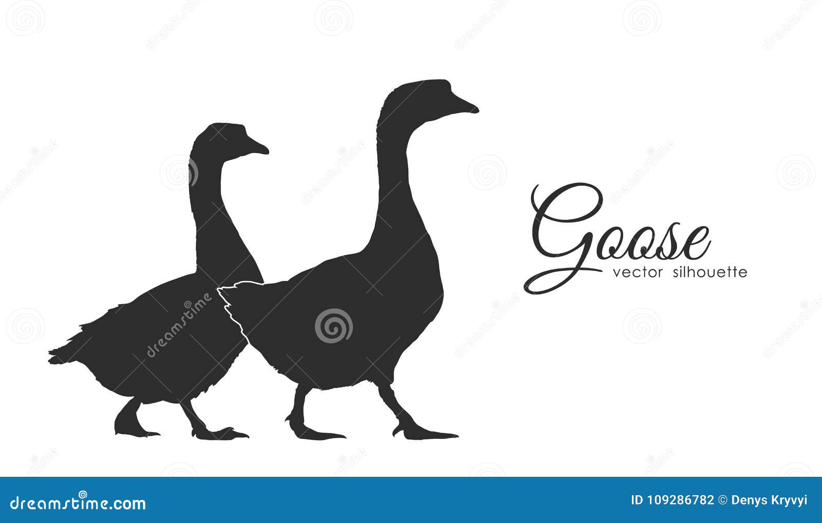 Two Geese White And Gray, Cartoon Funny Goose Isolated On White ...