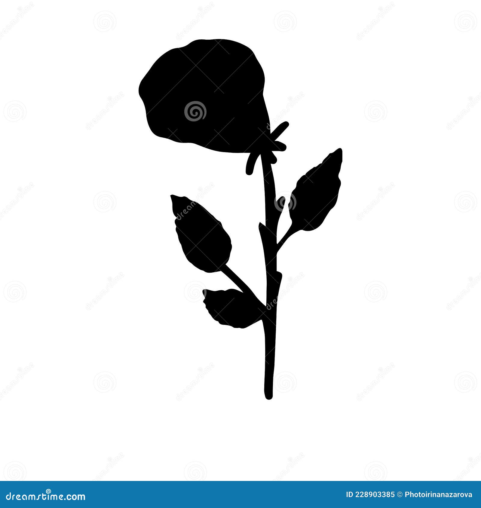 Isolated Simple Hand Drawn Black Flowers Elements. Vector Illustration ...