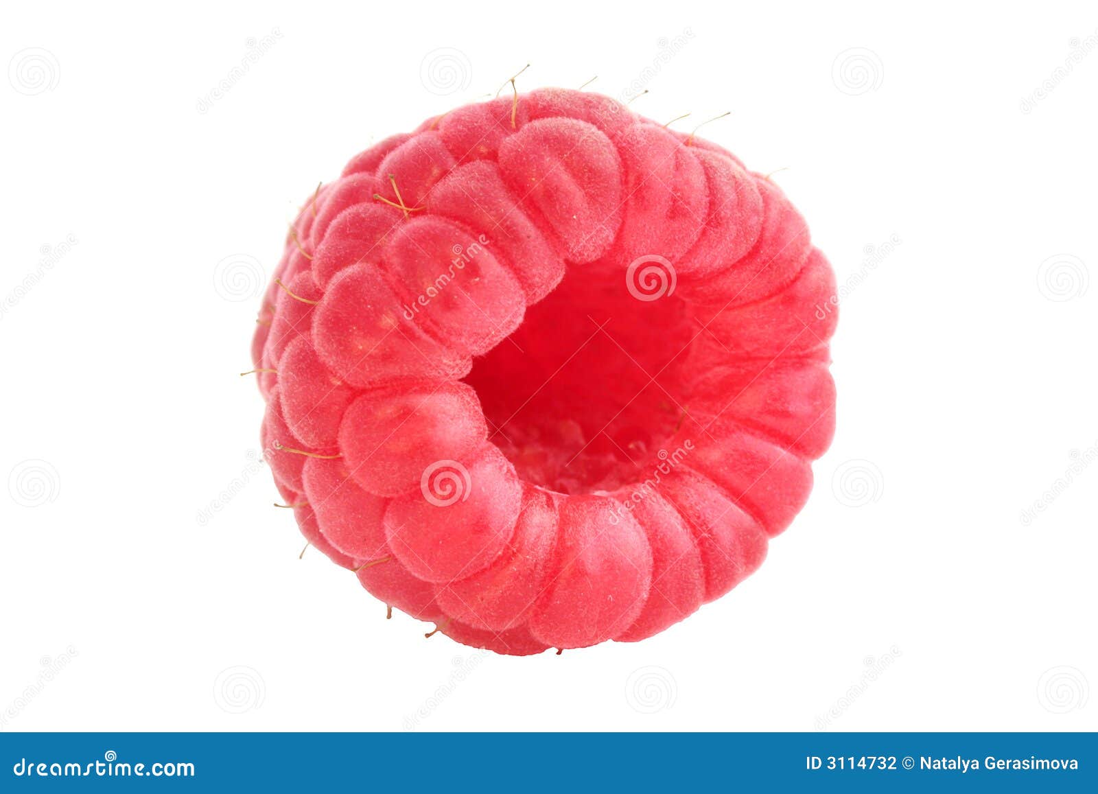 Isolated single raspberry stock photo. Image of ripe, food - 3114732