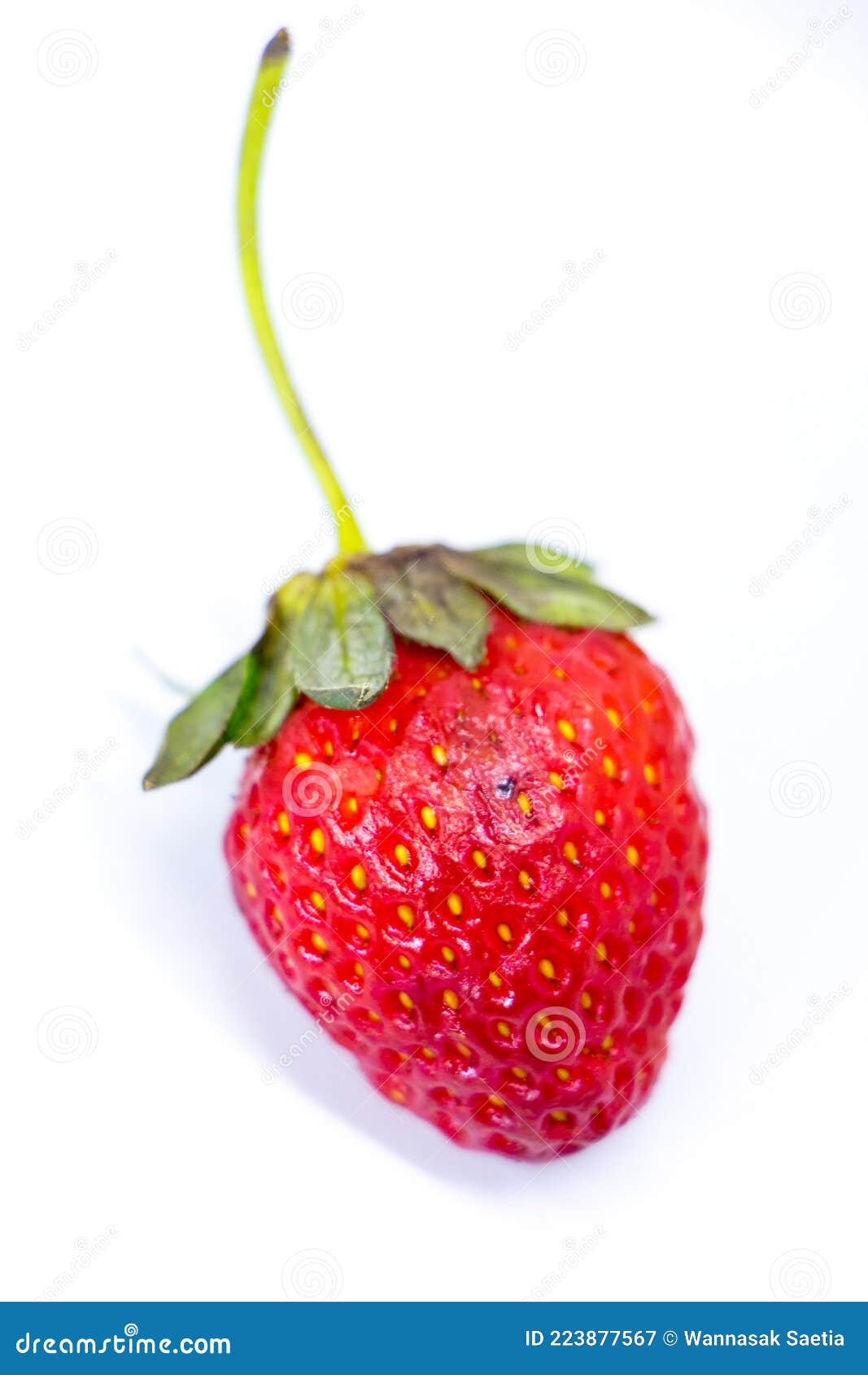 Isolated single strawberry stock image. Image of closeup - 223877567