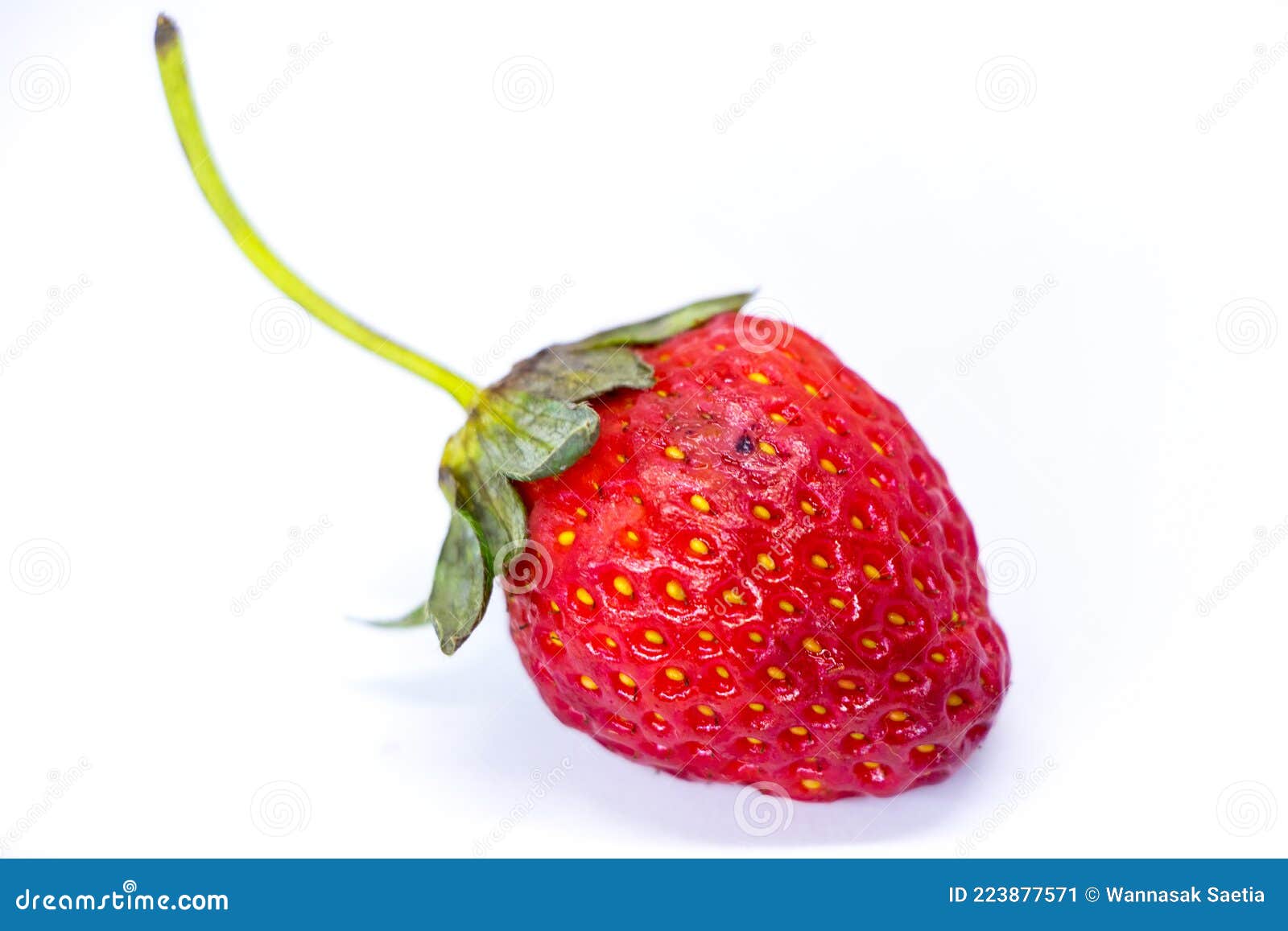 Isolated single strawberry stock image. Image of organic - 223877571