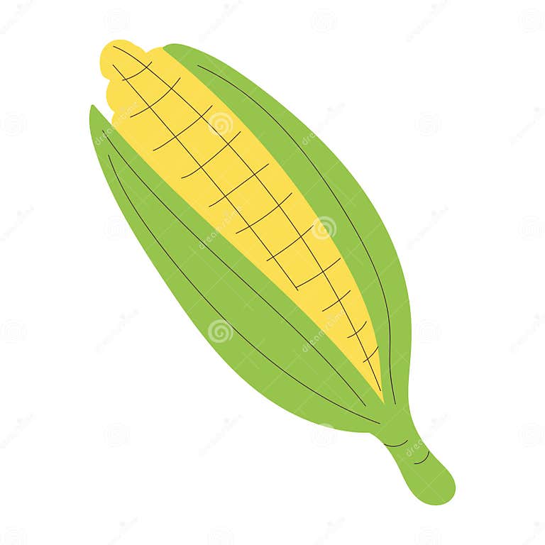 Isolated Sketch of a Corn Flat Design Vector Stock Vector ...