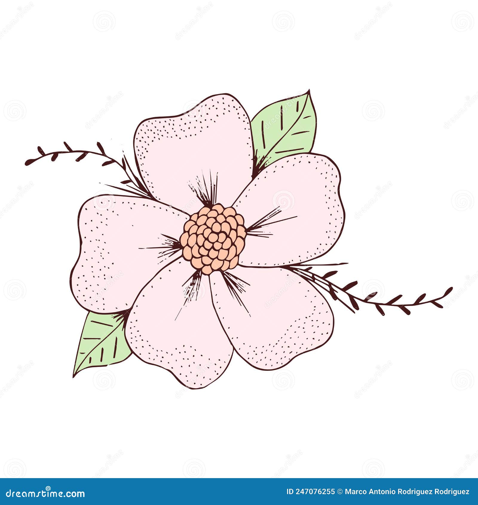 Isolated Sketch of a Flower Spring Time Vector Stock Vector ...