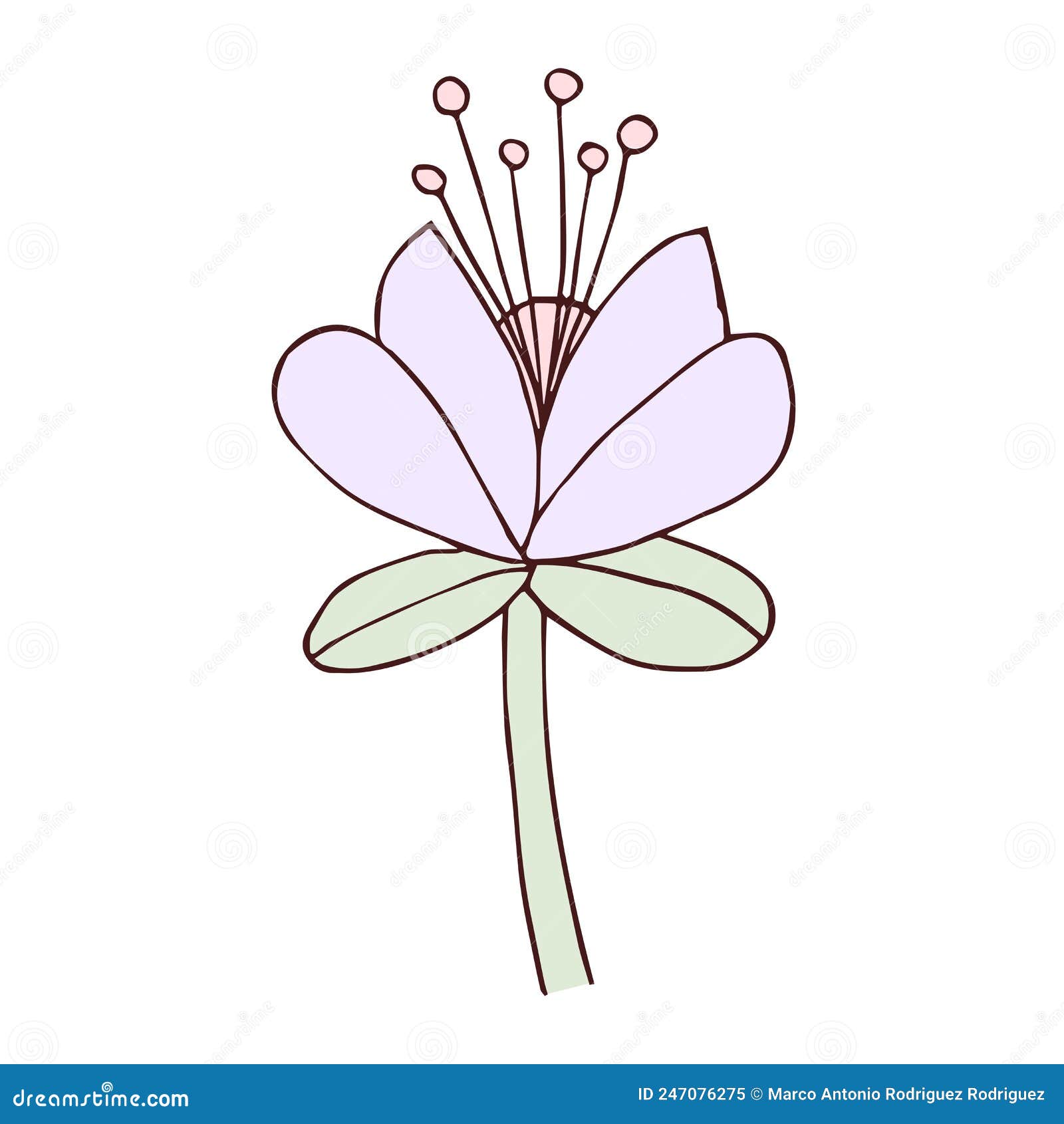 Isolated Sketch of a Flower Spring Time Vector Stock Vector ...