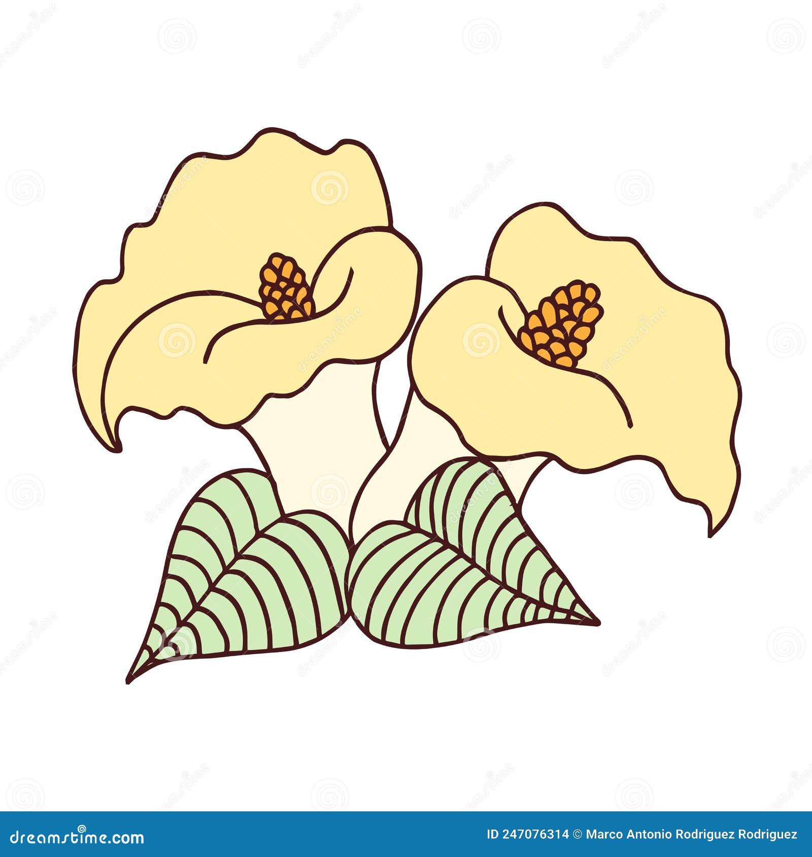 Isolated Sketch of a Flower Spring Time Vector Stock Vector ...