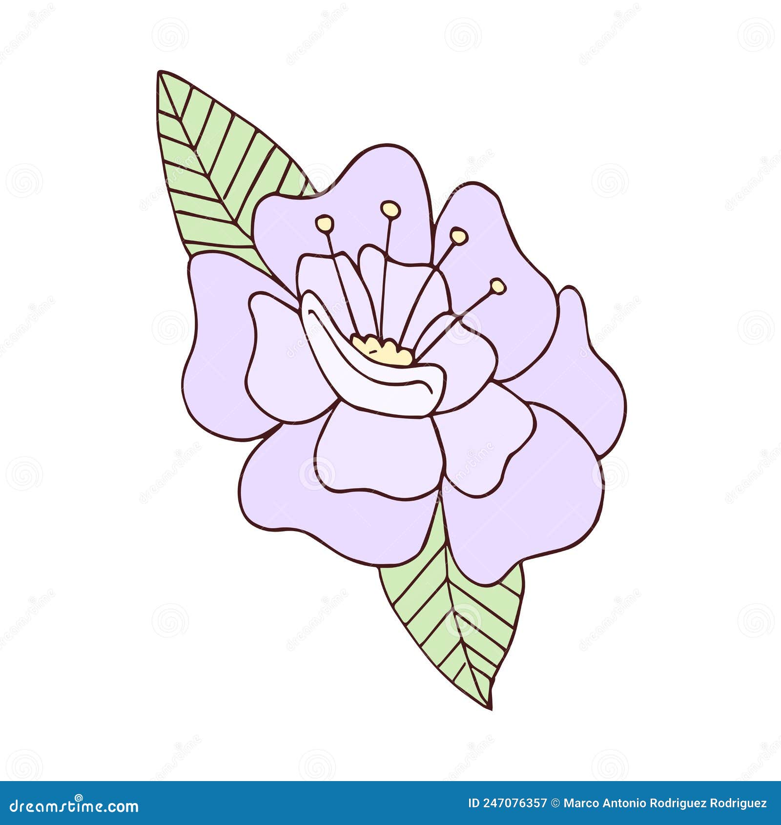 Isolated Sketch of a Flower Spring Time Vector Stock Vector ...