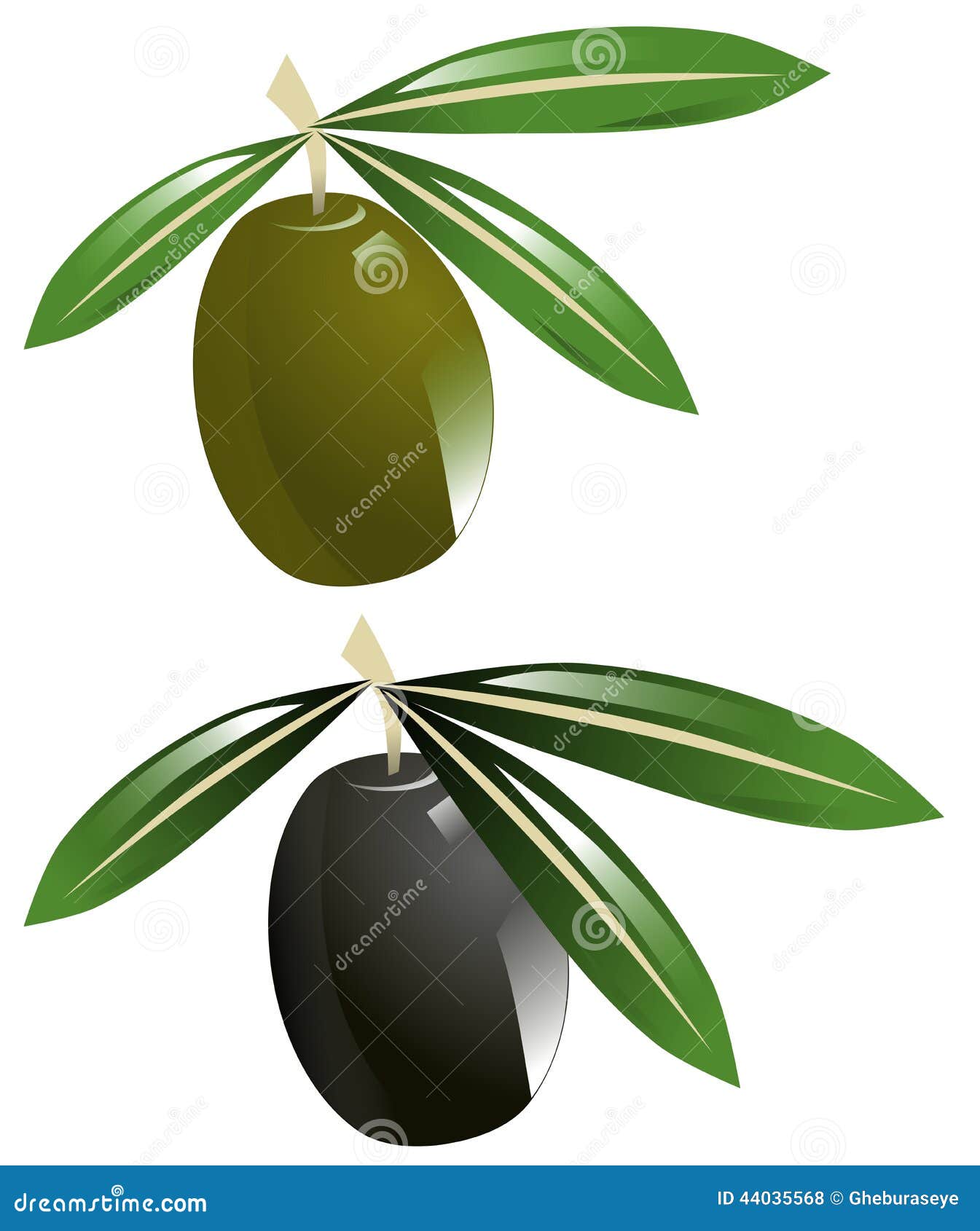 Isolated sketch of olives stock illustration. Illustration of dieting ...