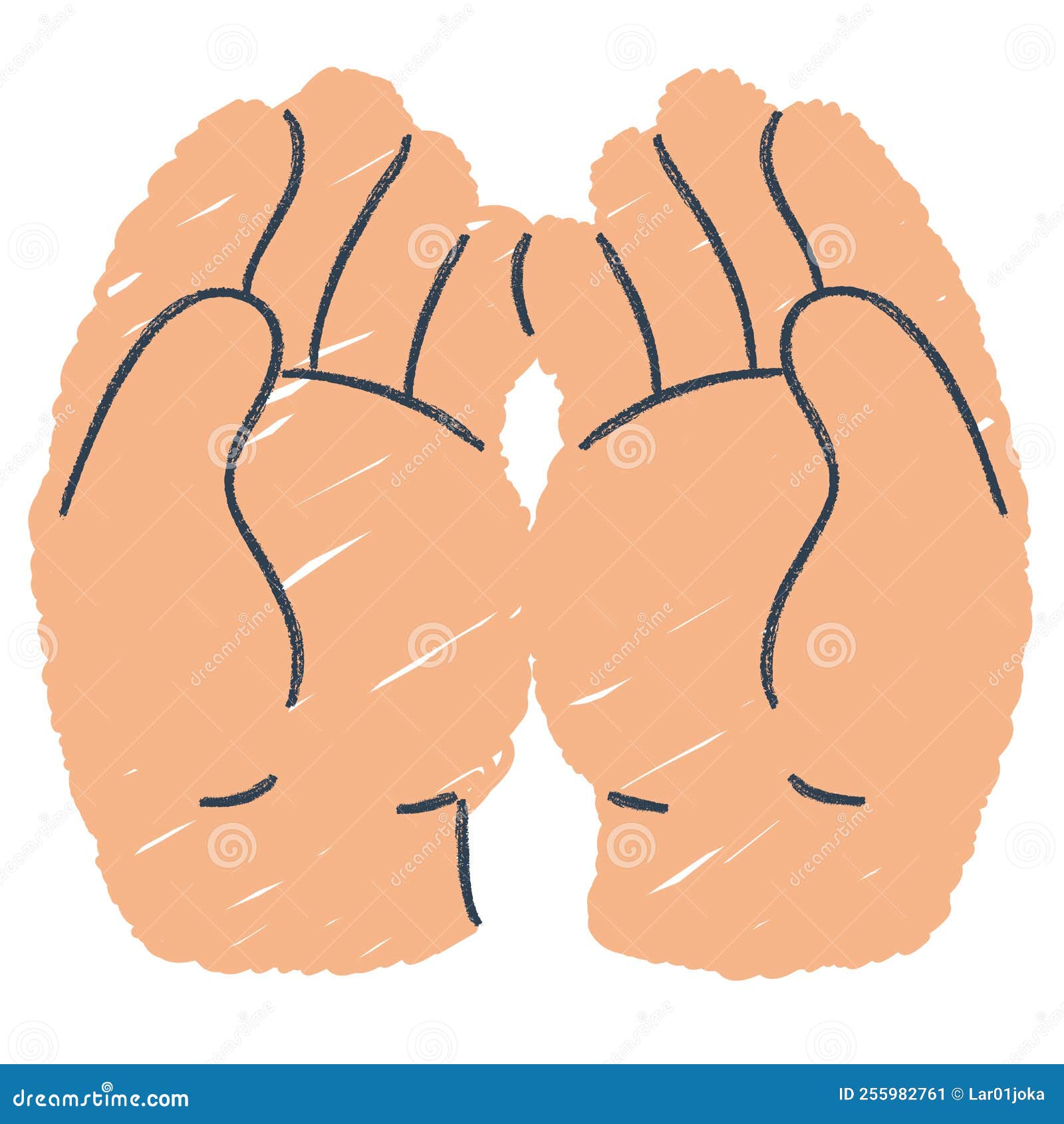 Isolated Sketch of a Pair of Hands Vector Stock Vector - Illustration ...