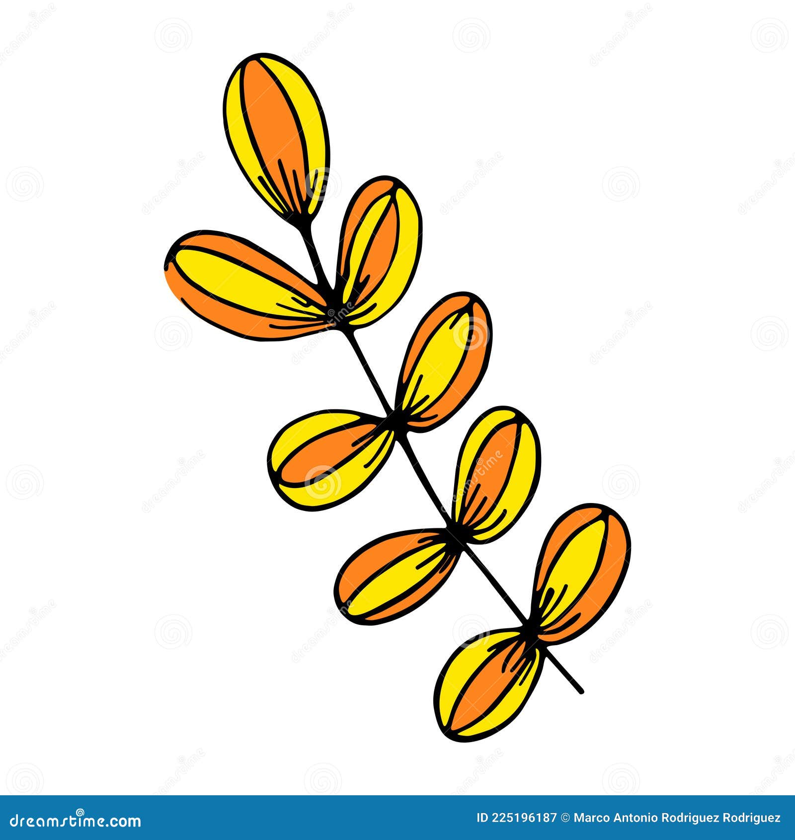 Isolated Sketch of a Tree Leaves Stock Vector - Illustration of tree ...