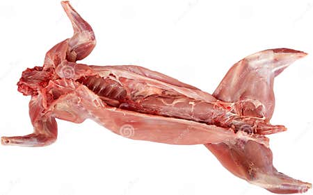 Isolated skinned rabbit stock photo. Image of muscle - 21909464