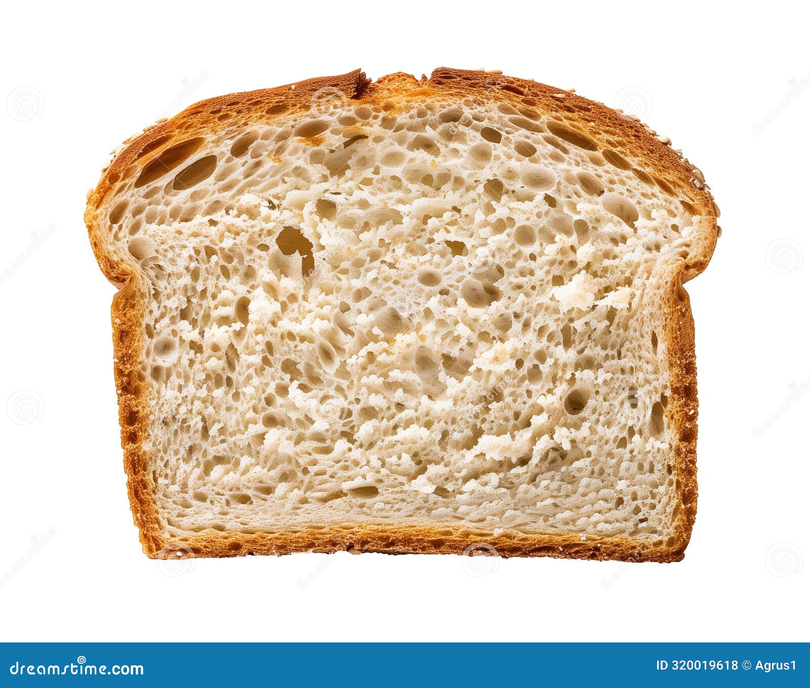 Isolated Slice of Toast, Top View Stock Illustration - Illustration of ...