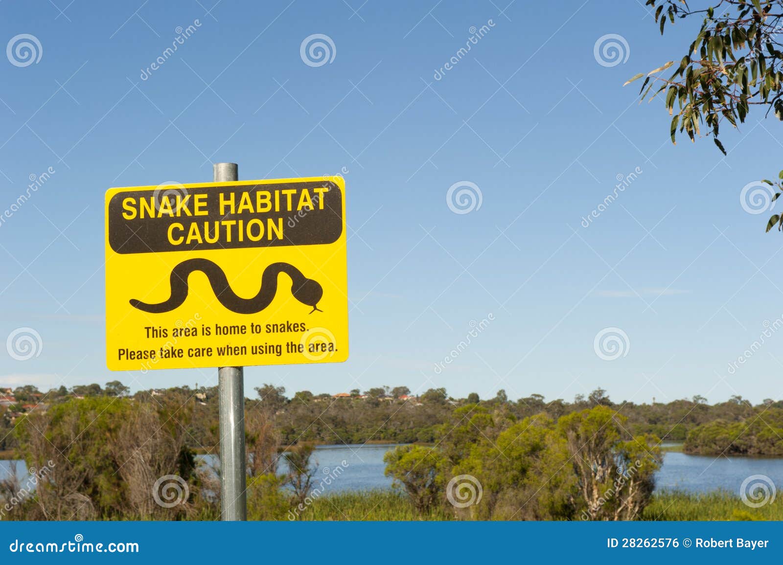 Isolated Snake Warning Sign Australia Royalty Free Stock Image - Image ...