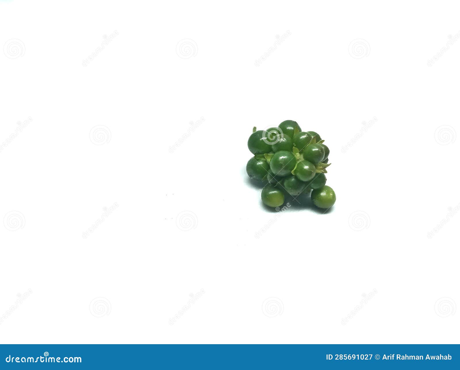 Isolated Solanum Nigrum or Black Nightshade on White Background Stock ...