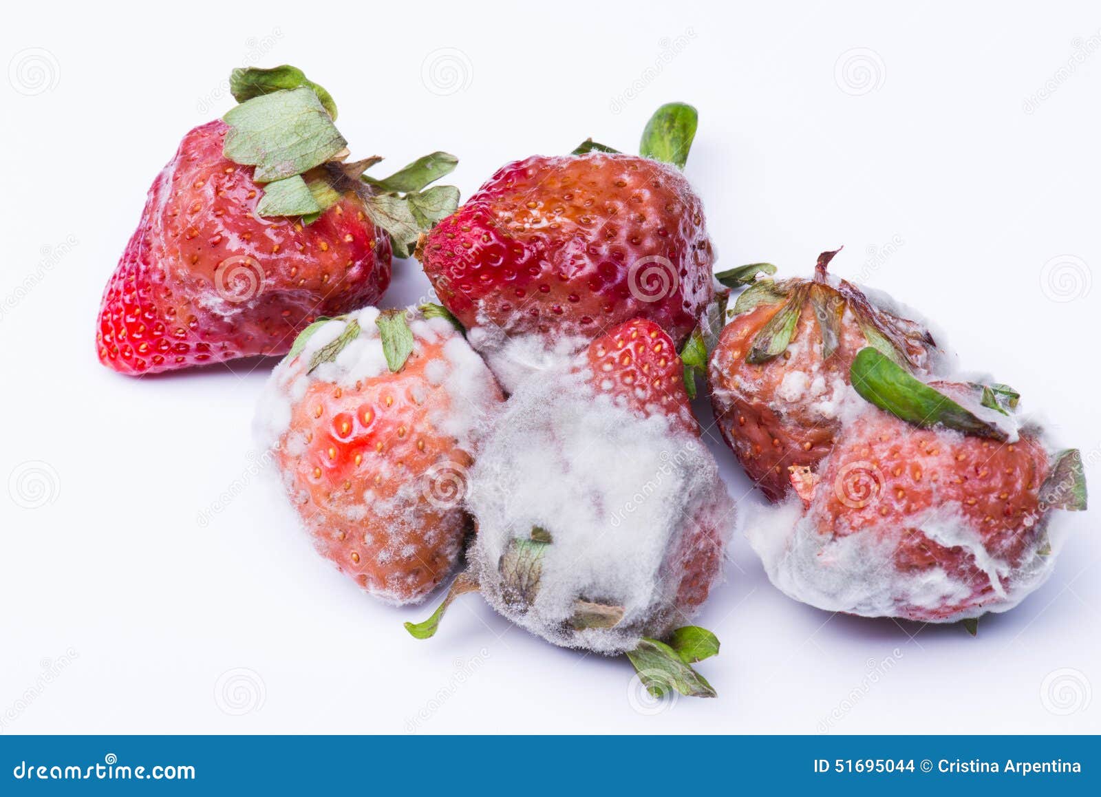 Isolated Spoiled Strawberry Stock Photo - Image of macro, rotten: 51695044