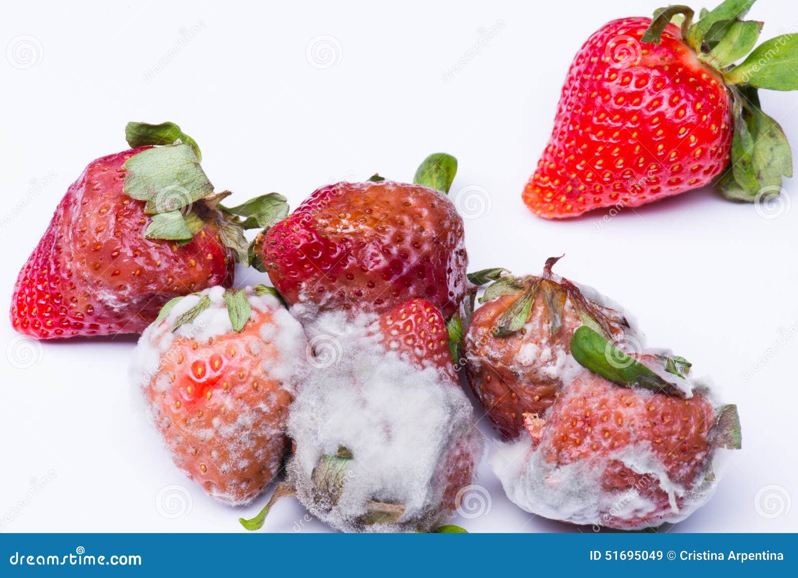 Bad Strawberries