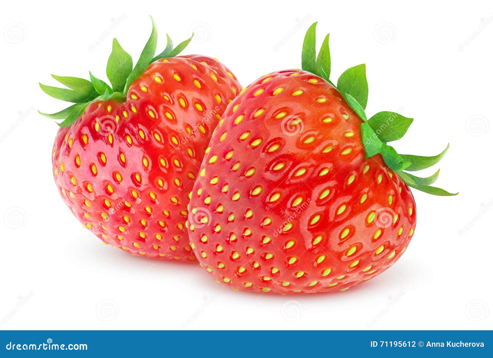 Isolated strawberries stock photo. Image of sweet, closeup - 71195612