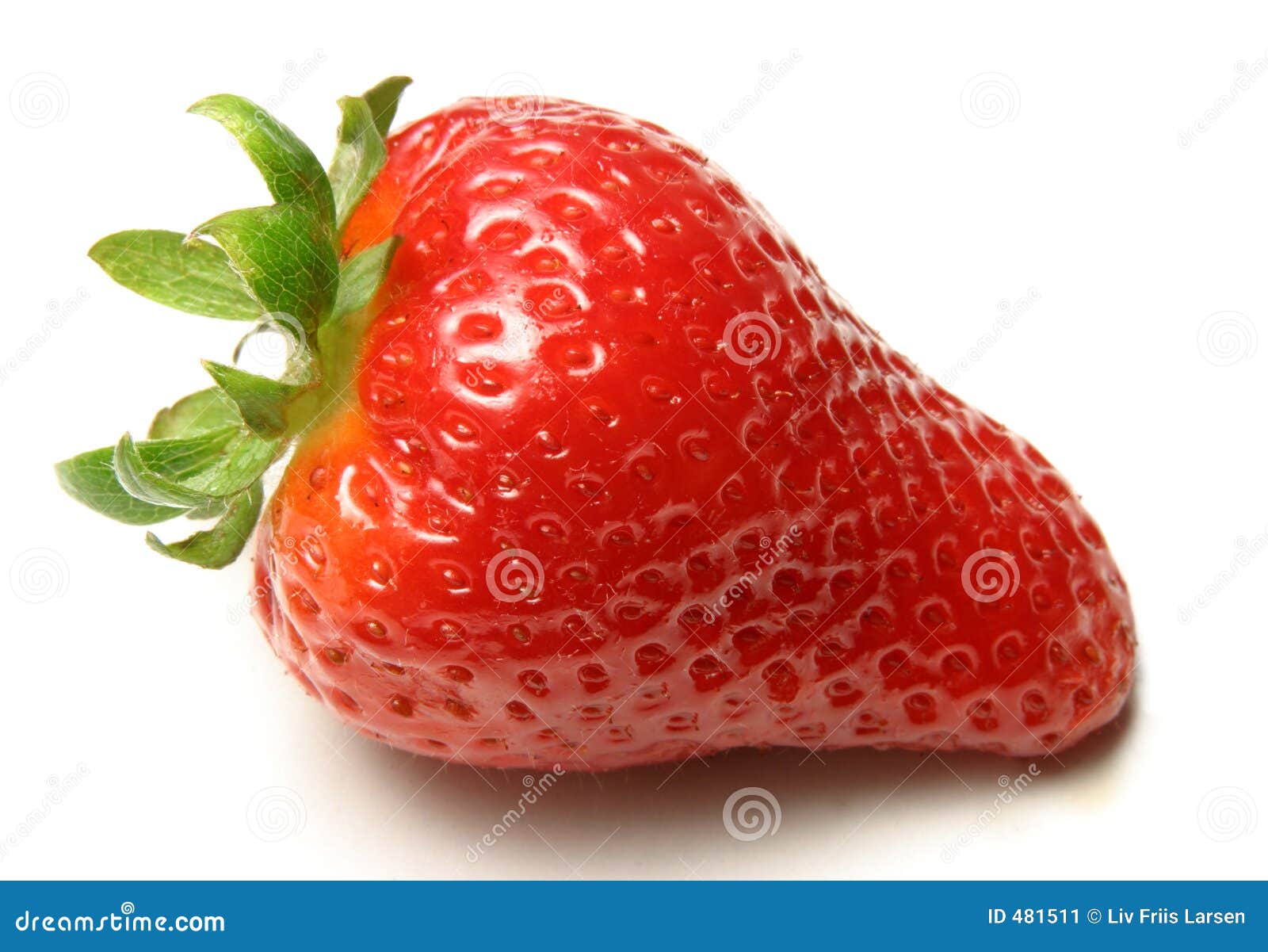 Isolated strawberry stock image. Image of juicy, ripe, fruit - 481511