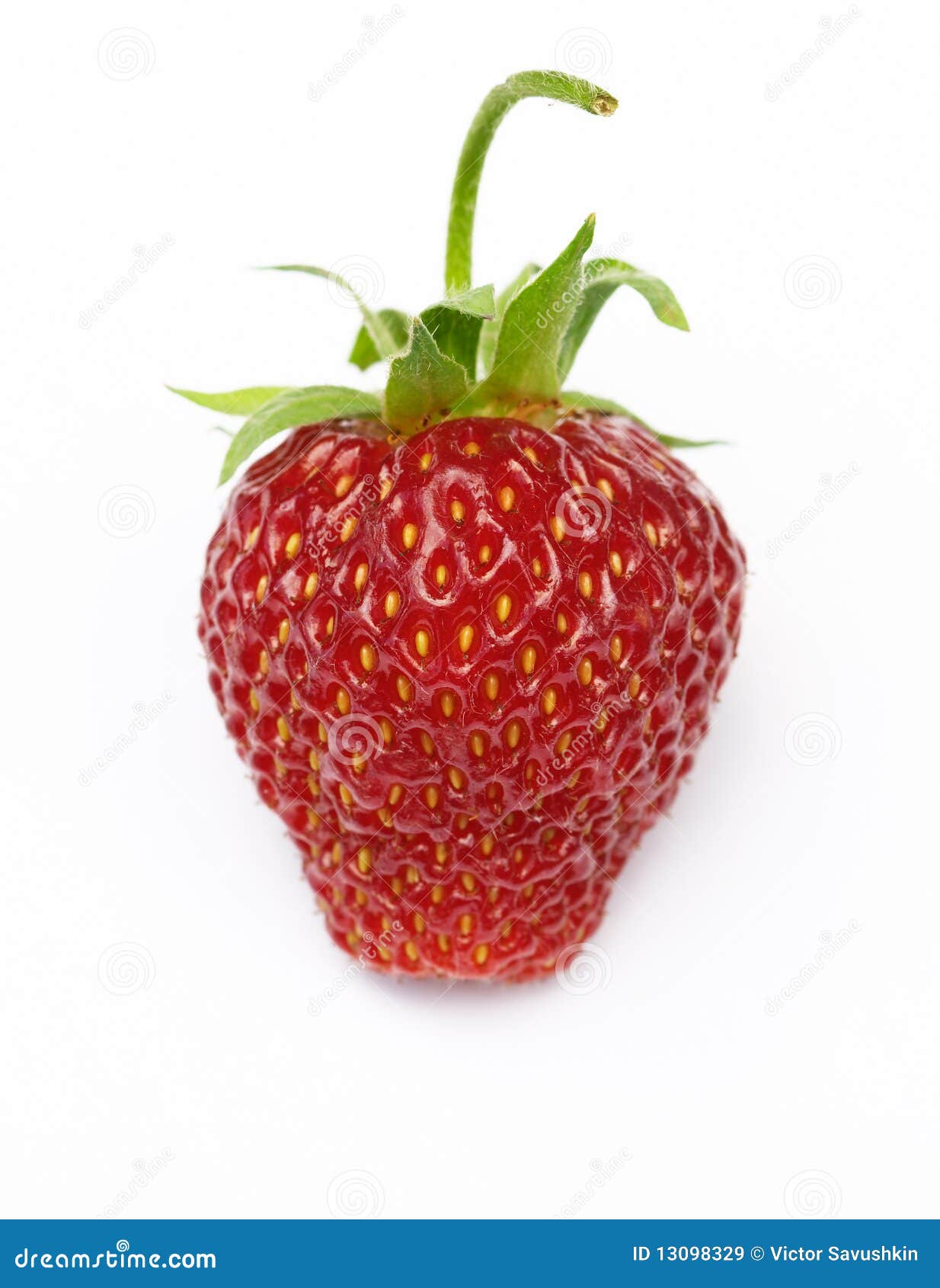 Isolated Strawberry on White Background Stock Image - Image of crop ...