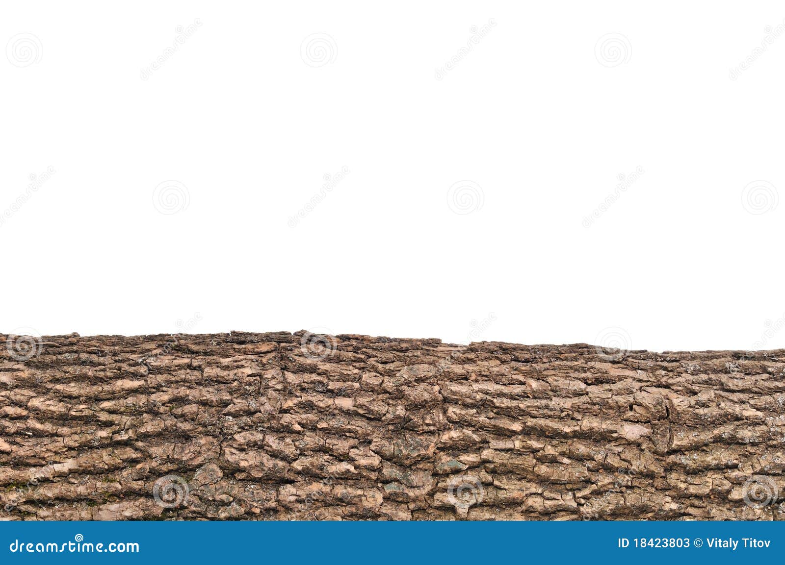 Isolated Log Stump And Cross Section Texture Royalty-Free Stock ...