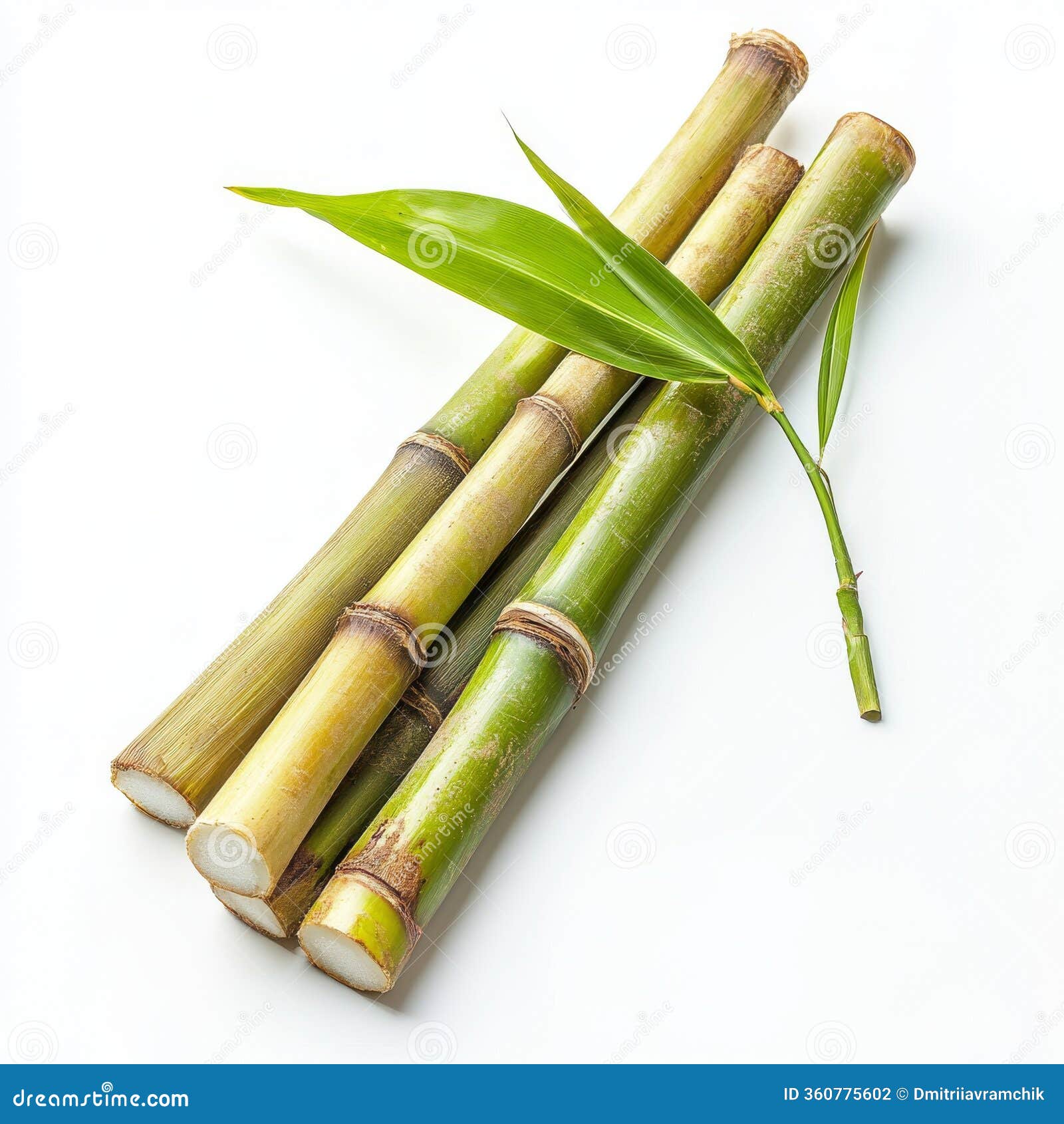 Isolated Sugar Cane on a Transparent Background, Image Stock Photo ...