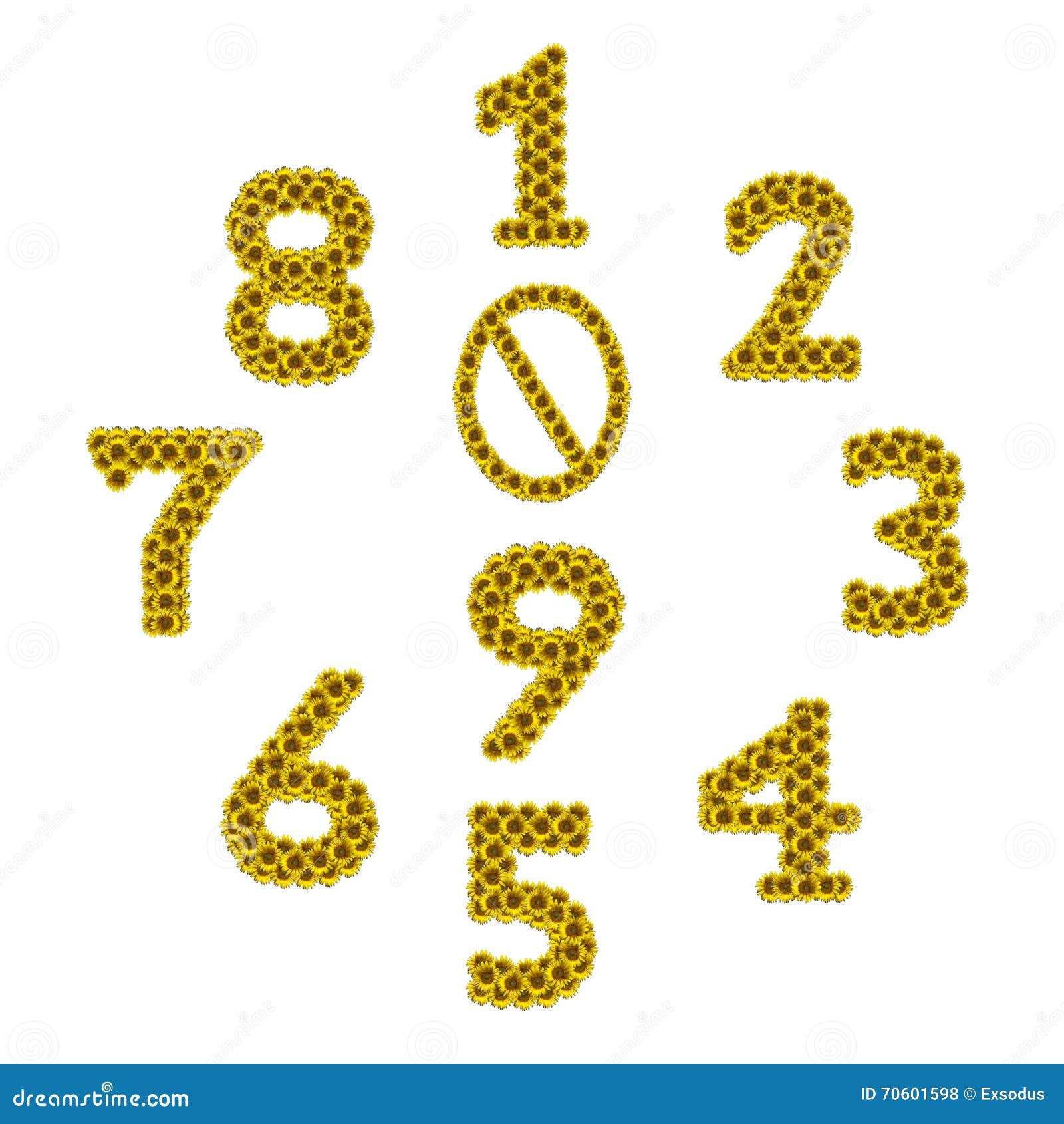 Isolated sunflower number stock photo. Image of sunflower - 70601598