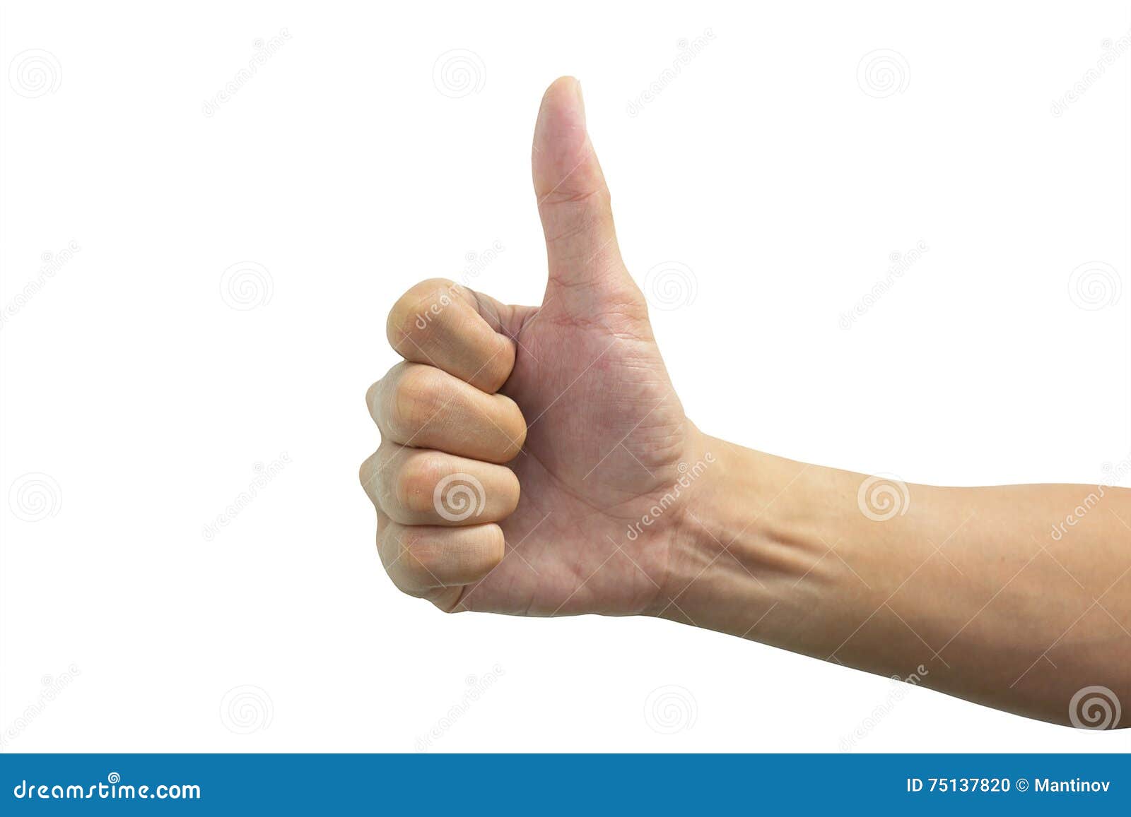 Isolated Thump Up Stock Images - Download 361 Royalty Free Photos