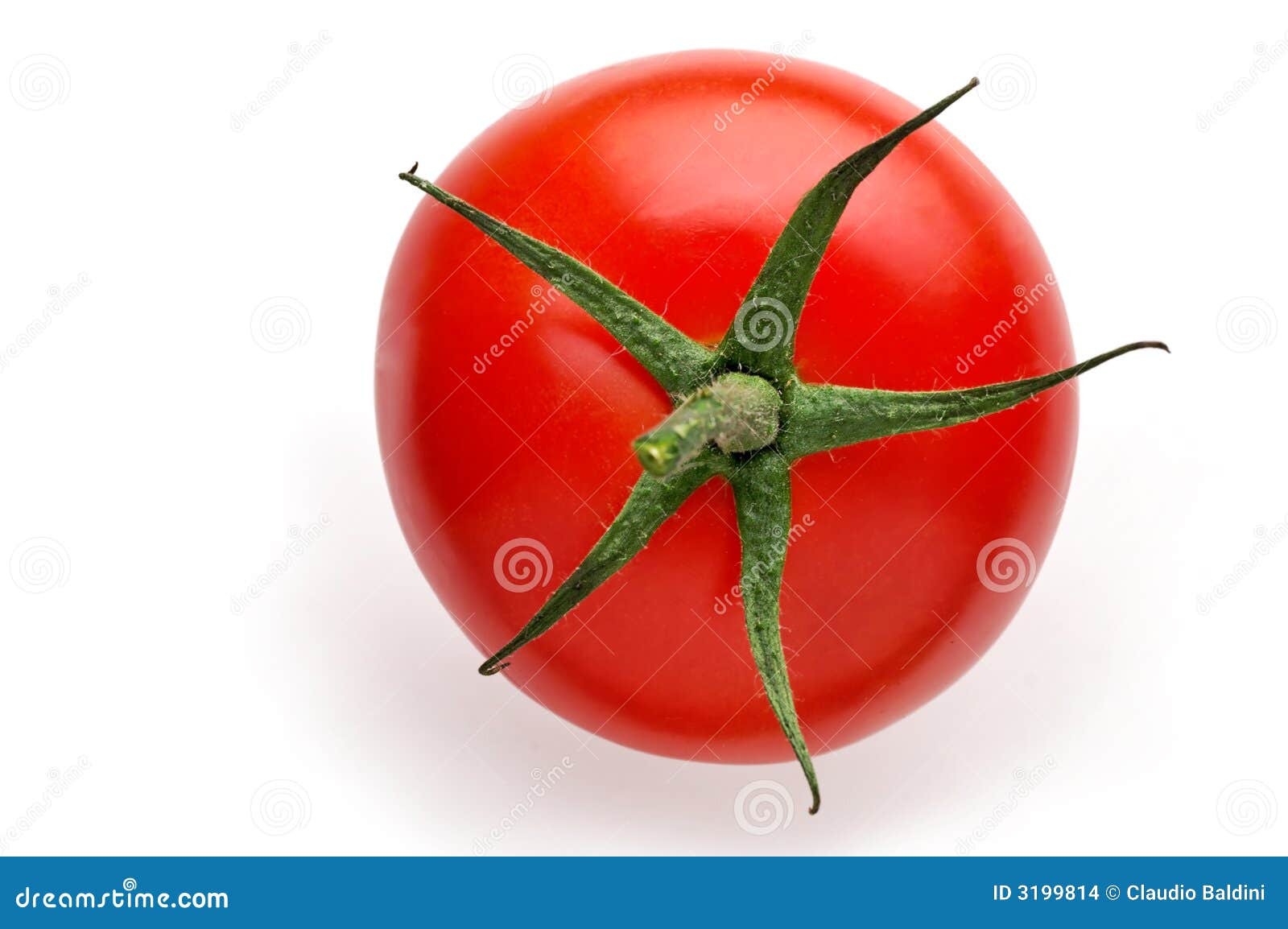 Isolated tomato top stock photo. Image of fresh, salad - 3199814