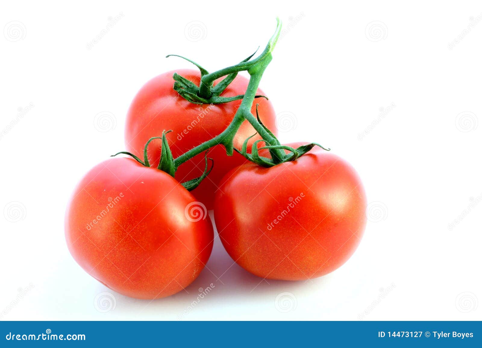 Isolated Tomatoes stock image. Image of diet, circle - 14473127