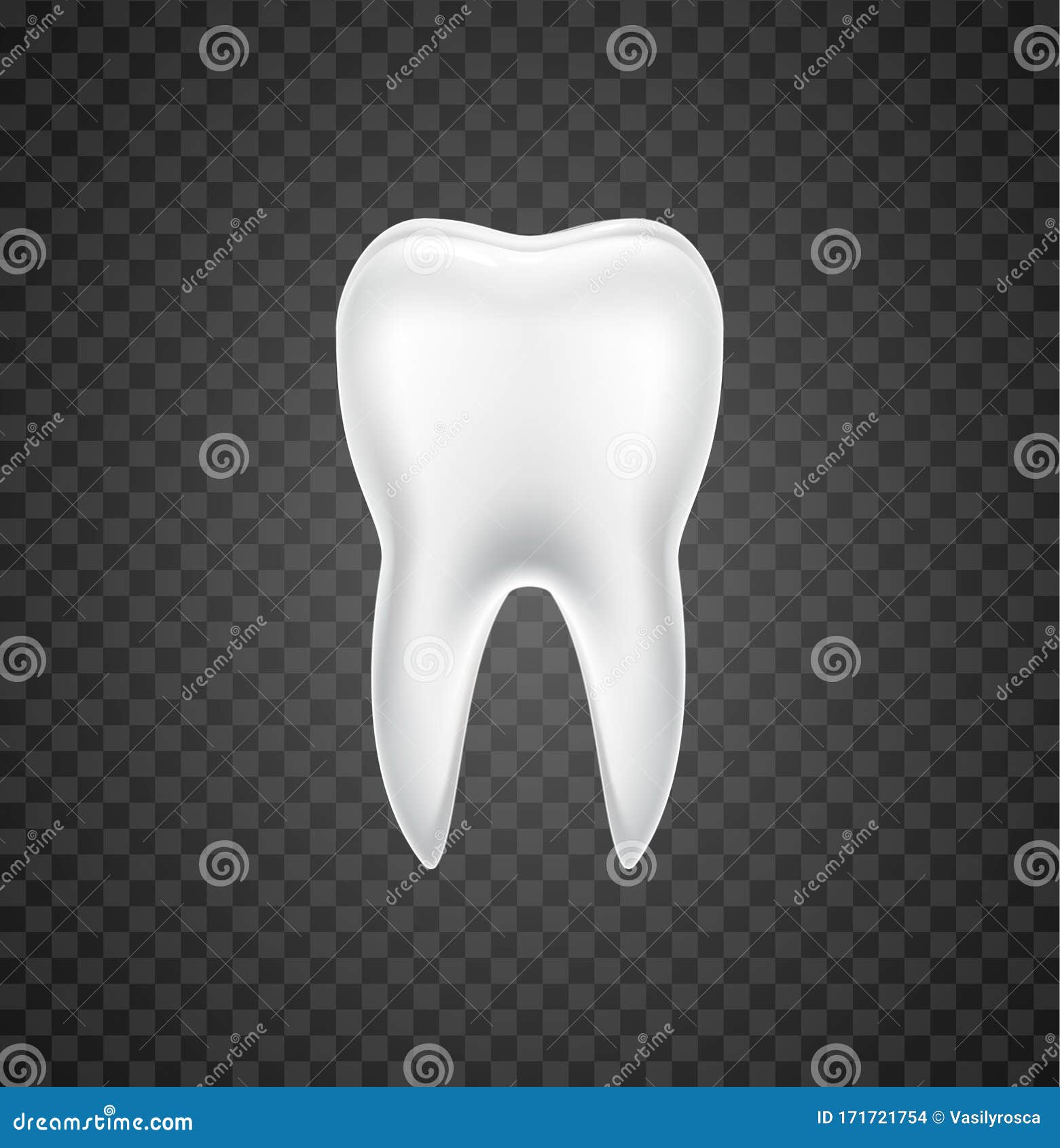 Isolated Tooth Dental Vector Realistic White Single Graphic. Tooth ...