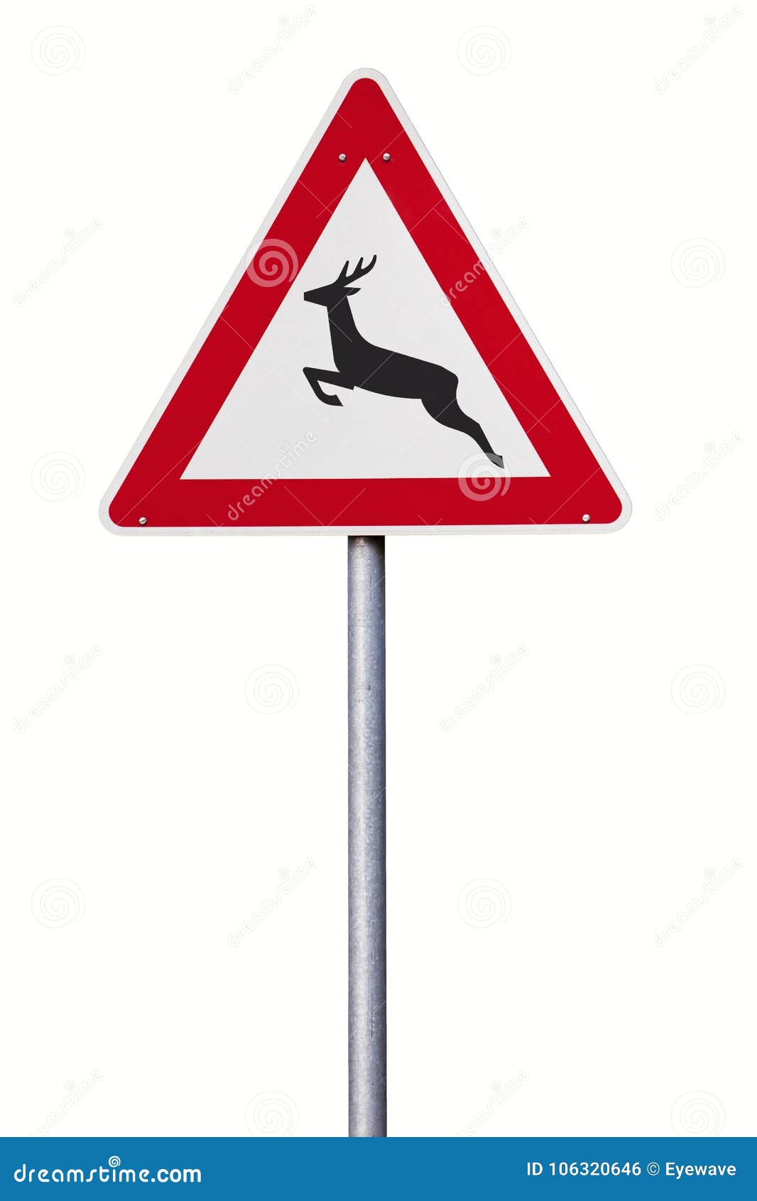 Deer Crossing Traffic Sign Isolated Stock Photo - Image of signs ... Deer Crossing Traffic Sign Isolated Stock Photo - Image of signs ...
