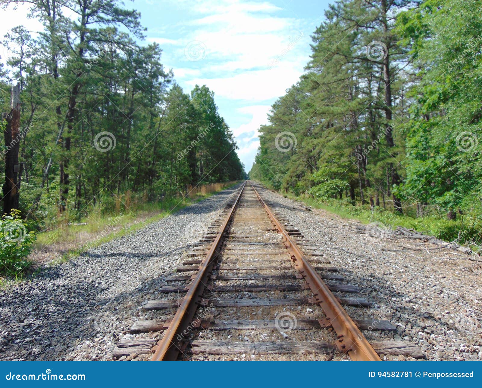 Isolated Train Tracks in Woods Stock Image - Image of vintage ...
