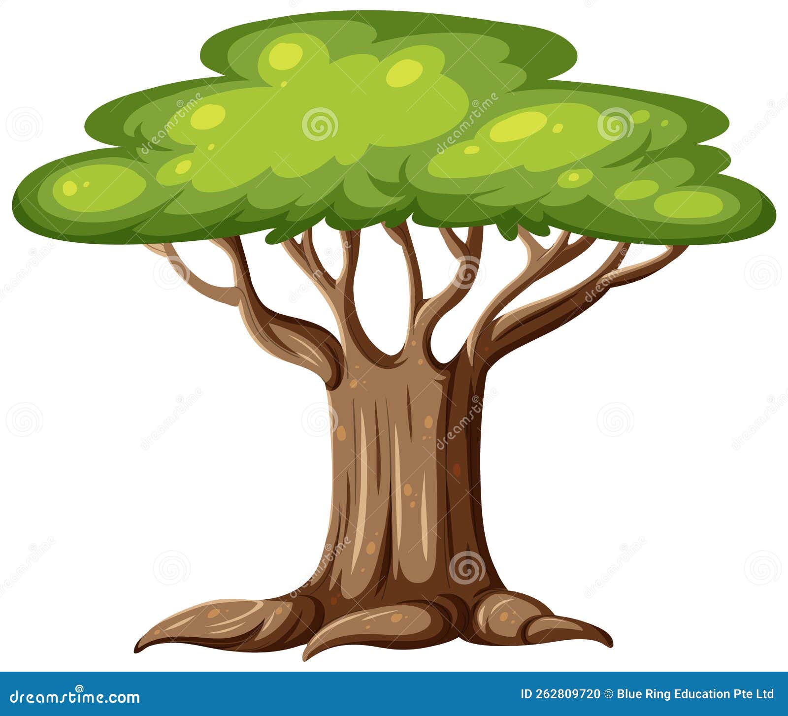 An isolated tree cartoon stock vector. Illustration of green - 262809720