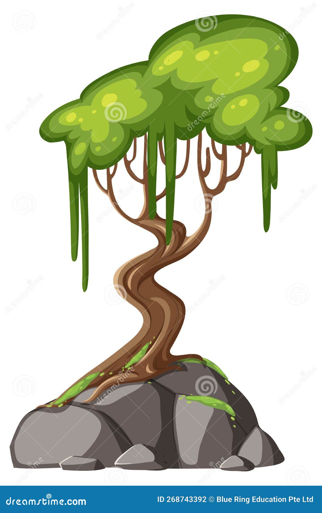 An isolated tree cartoon stock vector. Illustration of natural - 268743392