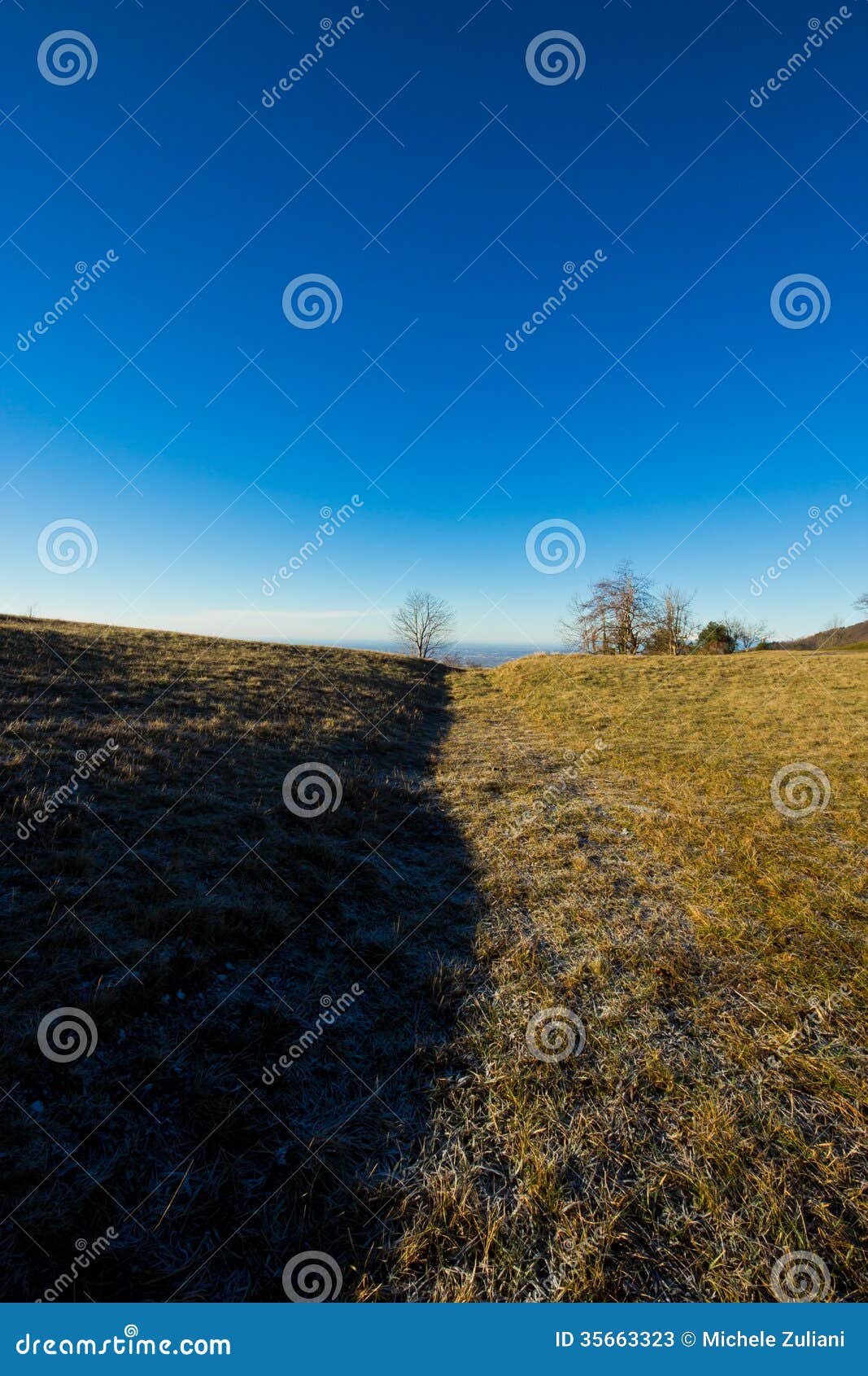 Isolated Tree in a Cold December Morning Stock Image - Image of morning ...